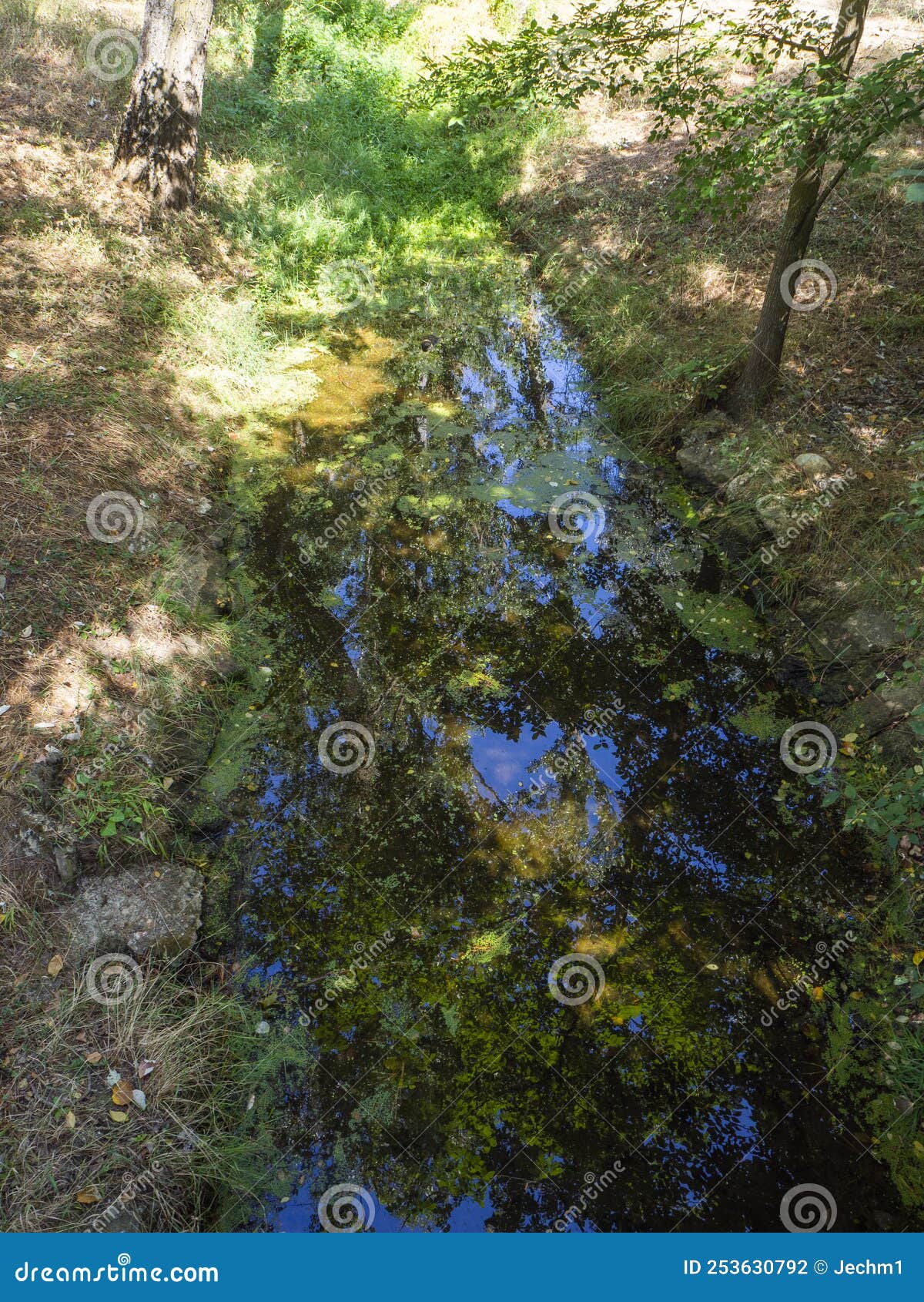 Spring Water Contaminated by Chemicals. Pollution Concept Stock Photo ...