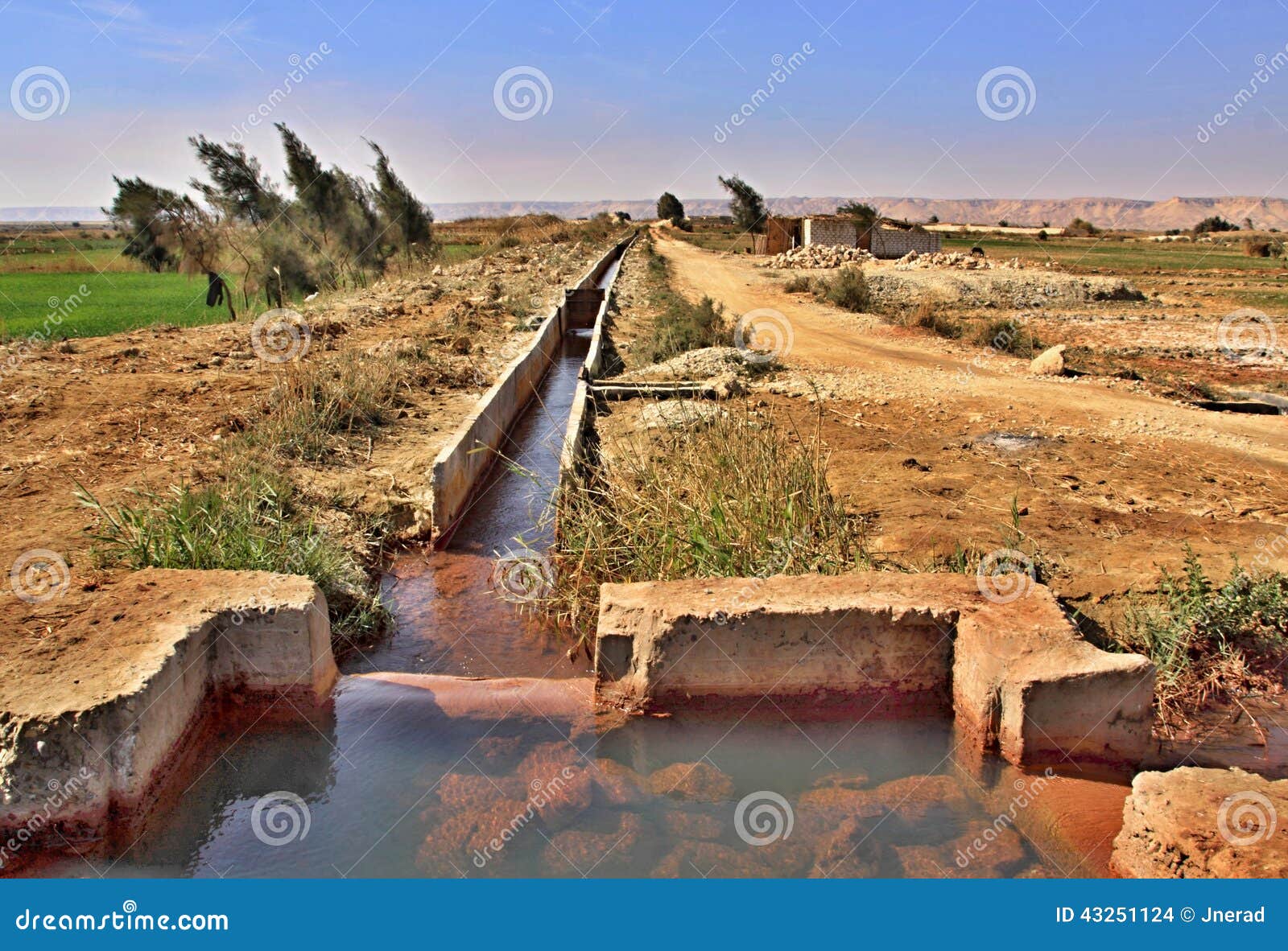 Spring water in desert stock photo. Image of spring, simplicity - 43251124