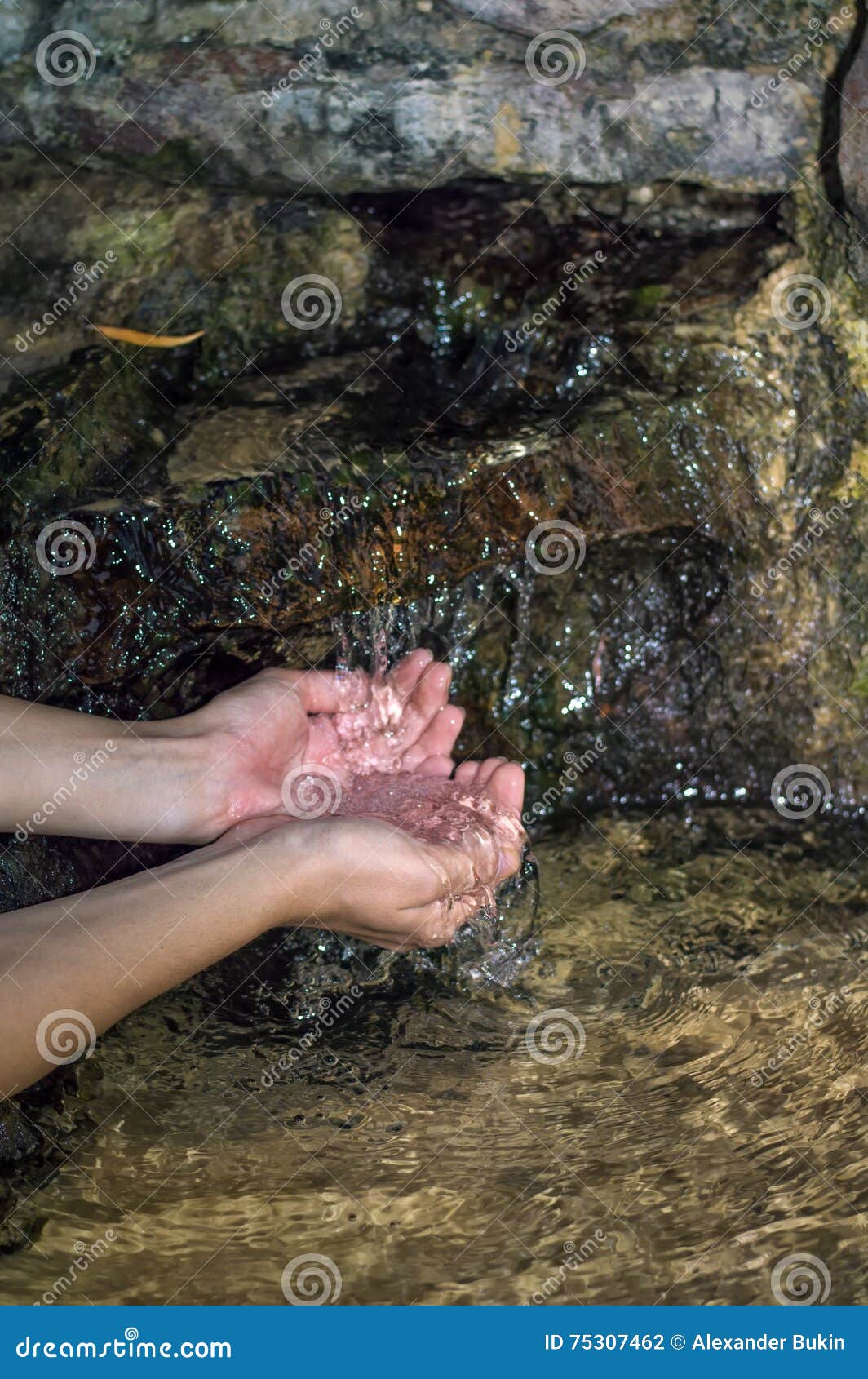 Spring Water Fills the Palm of Your Hand Stock Photo - Image of splash ...