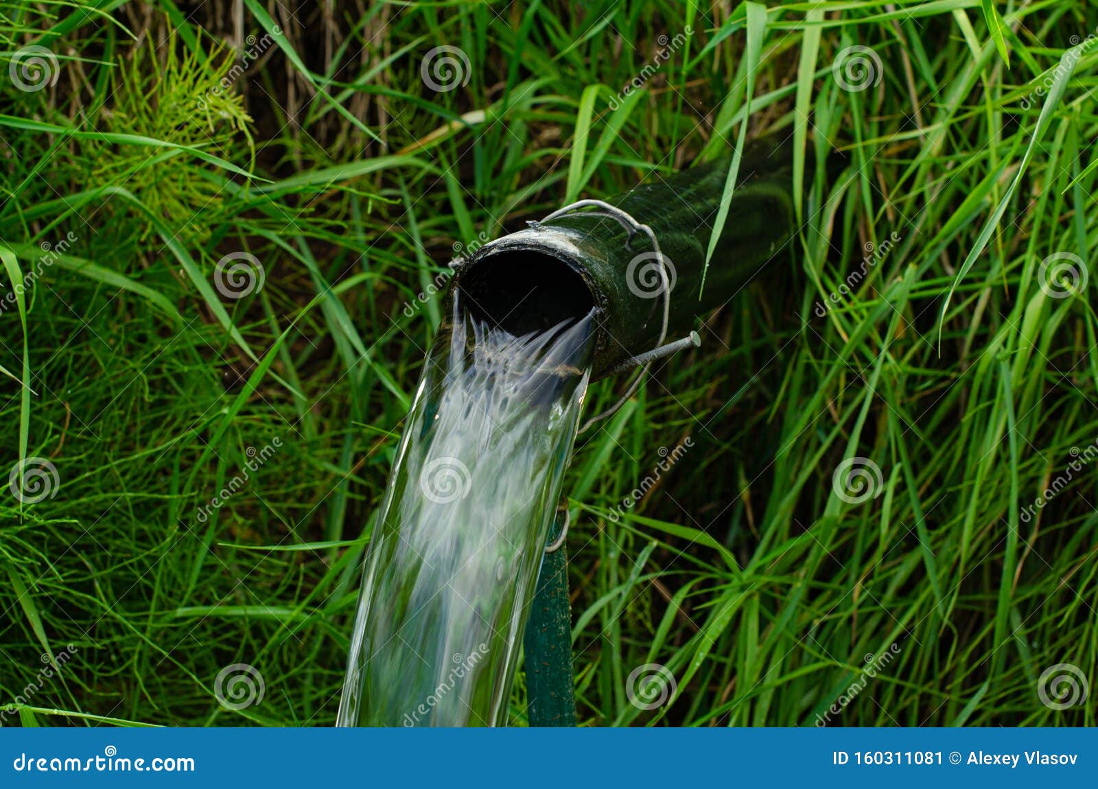 Spring water flow stock image. Image of water, naturalwater - 160311081