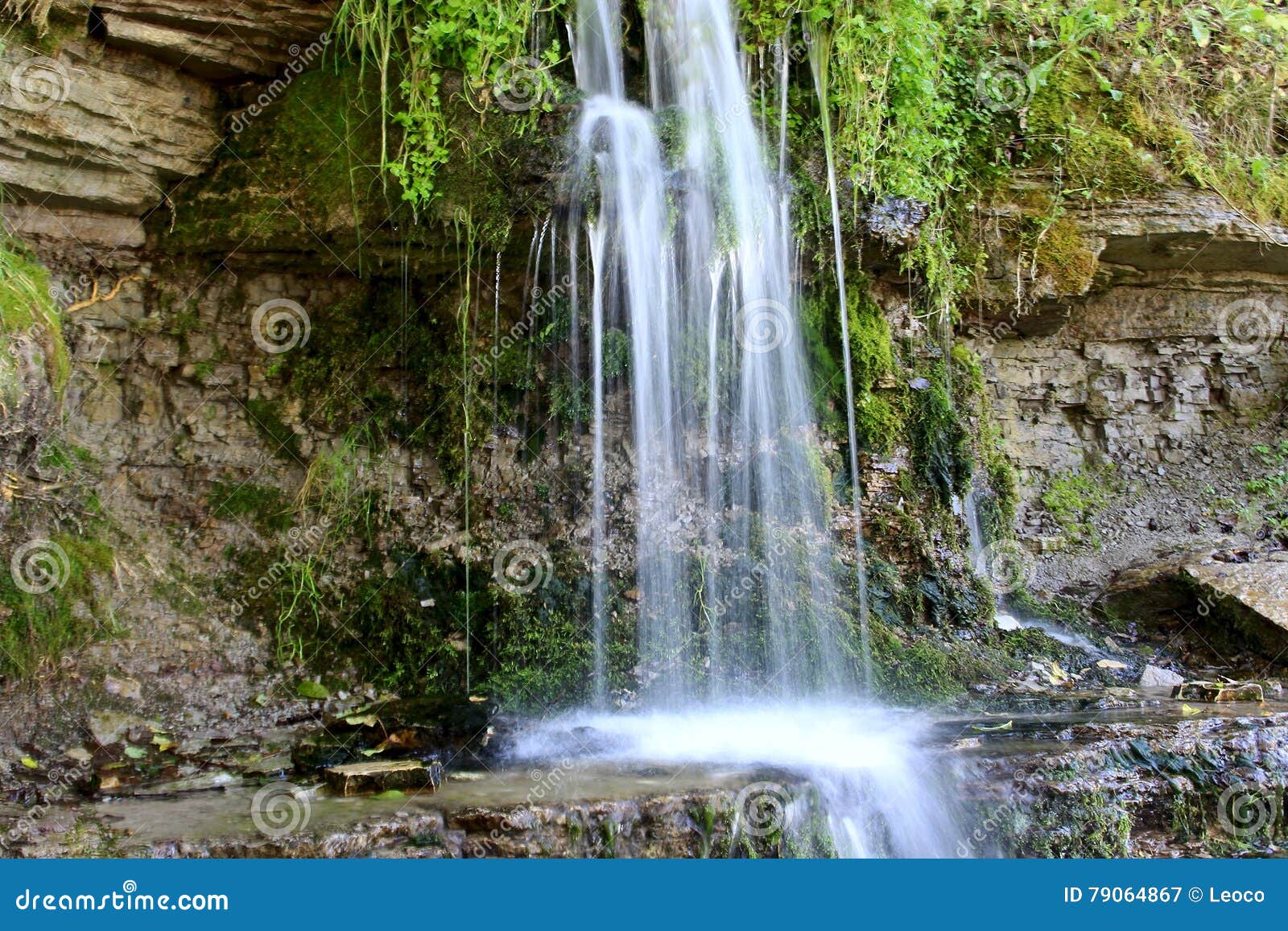 Spring stock image. Image of view, road, plant, branching - 79064867