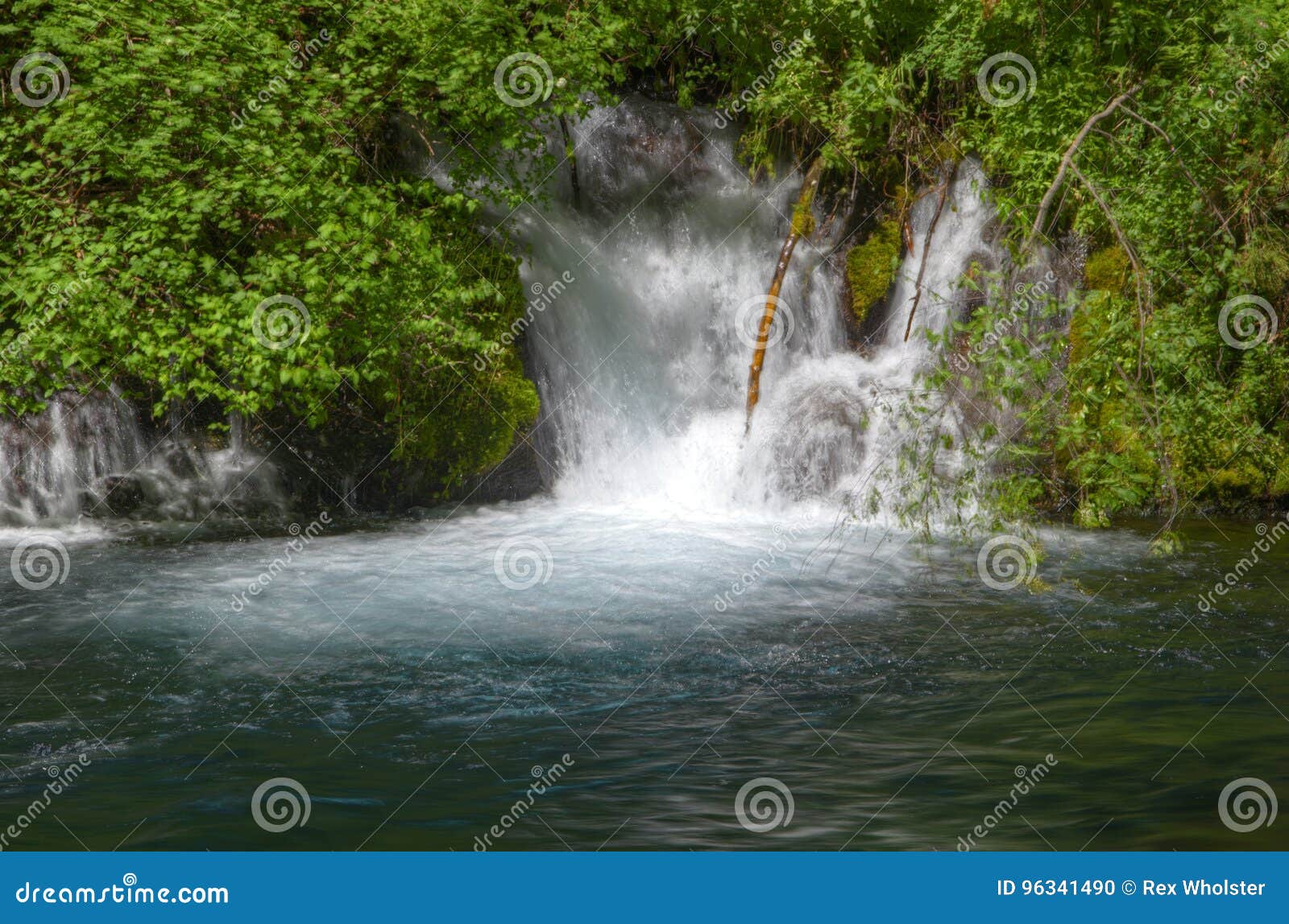 Spring Water Flowing into a River in Oregon Stock Photo - Image of ...