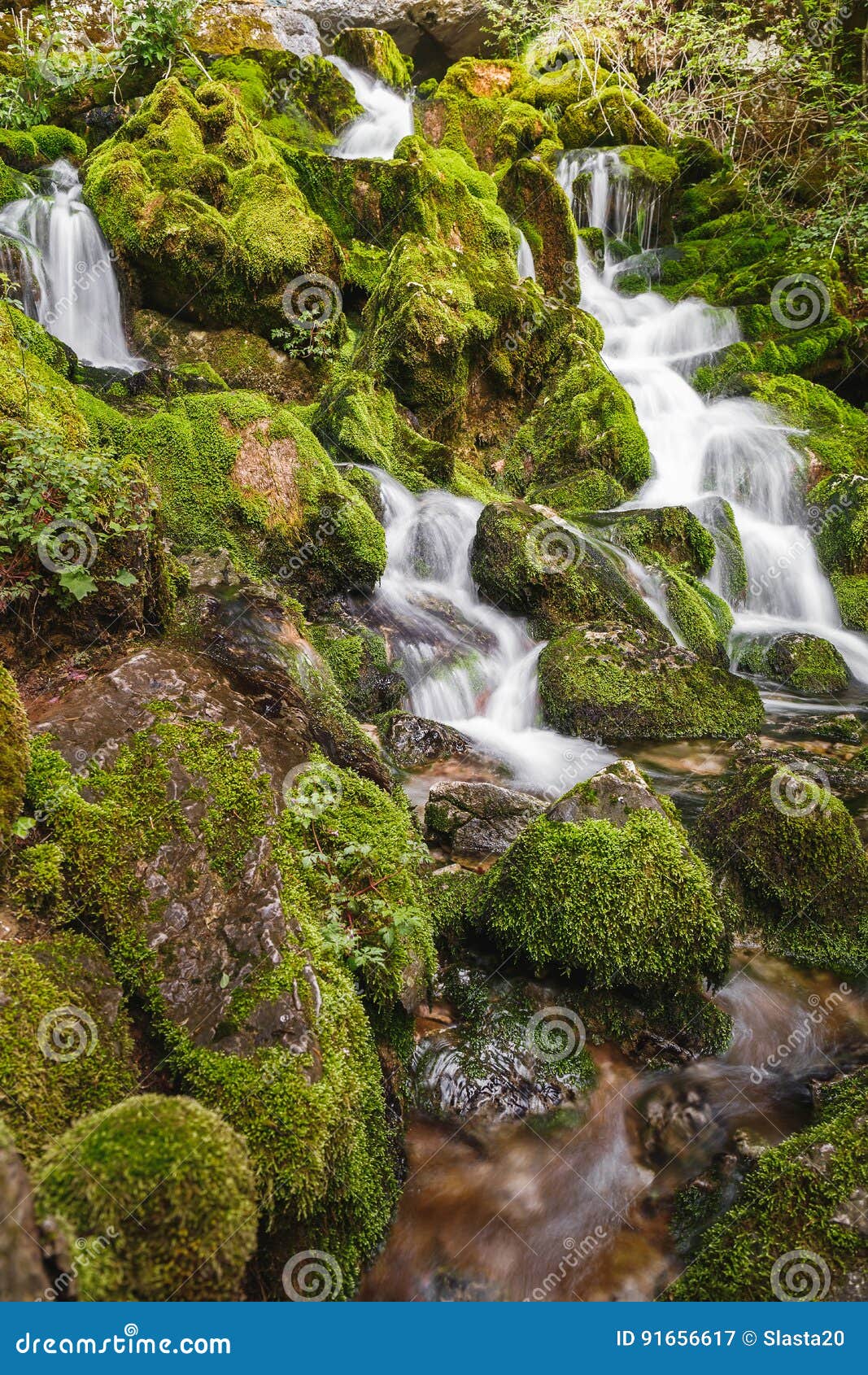 Spring Water Flows from the Mossy Rocks Stock Image - Image of balkan ...