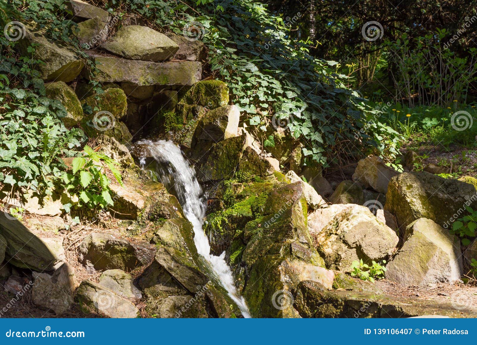 Spring, Water Flows from the Rock Stock Image - Image of leaves, rock ...