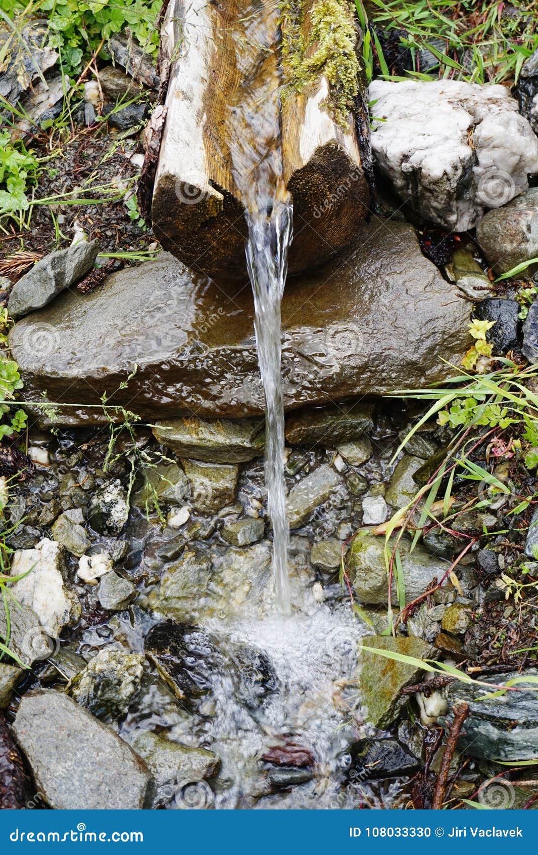Spring of Water in the Forest Stock Photo - Image of grass, source ...
