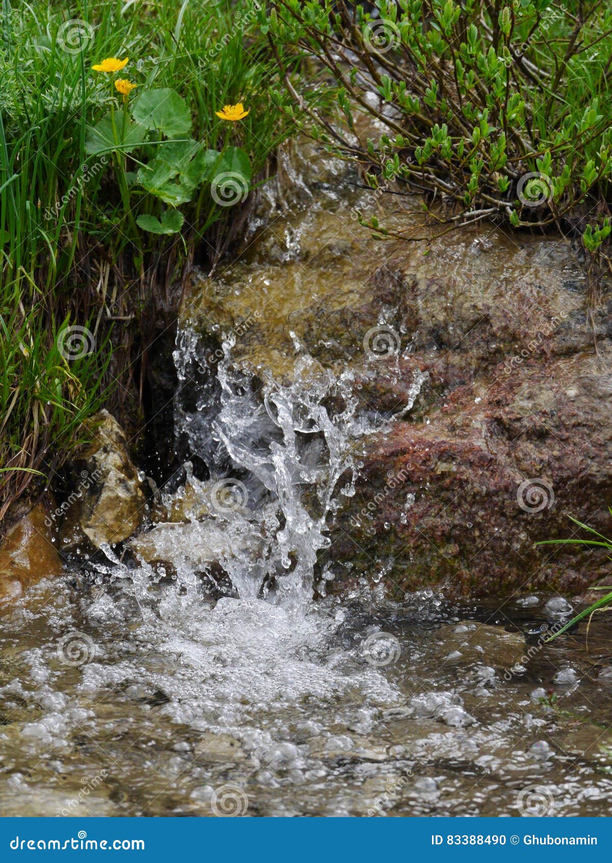 Spring water fountain stock photo. Image of ecosystem - 83388490