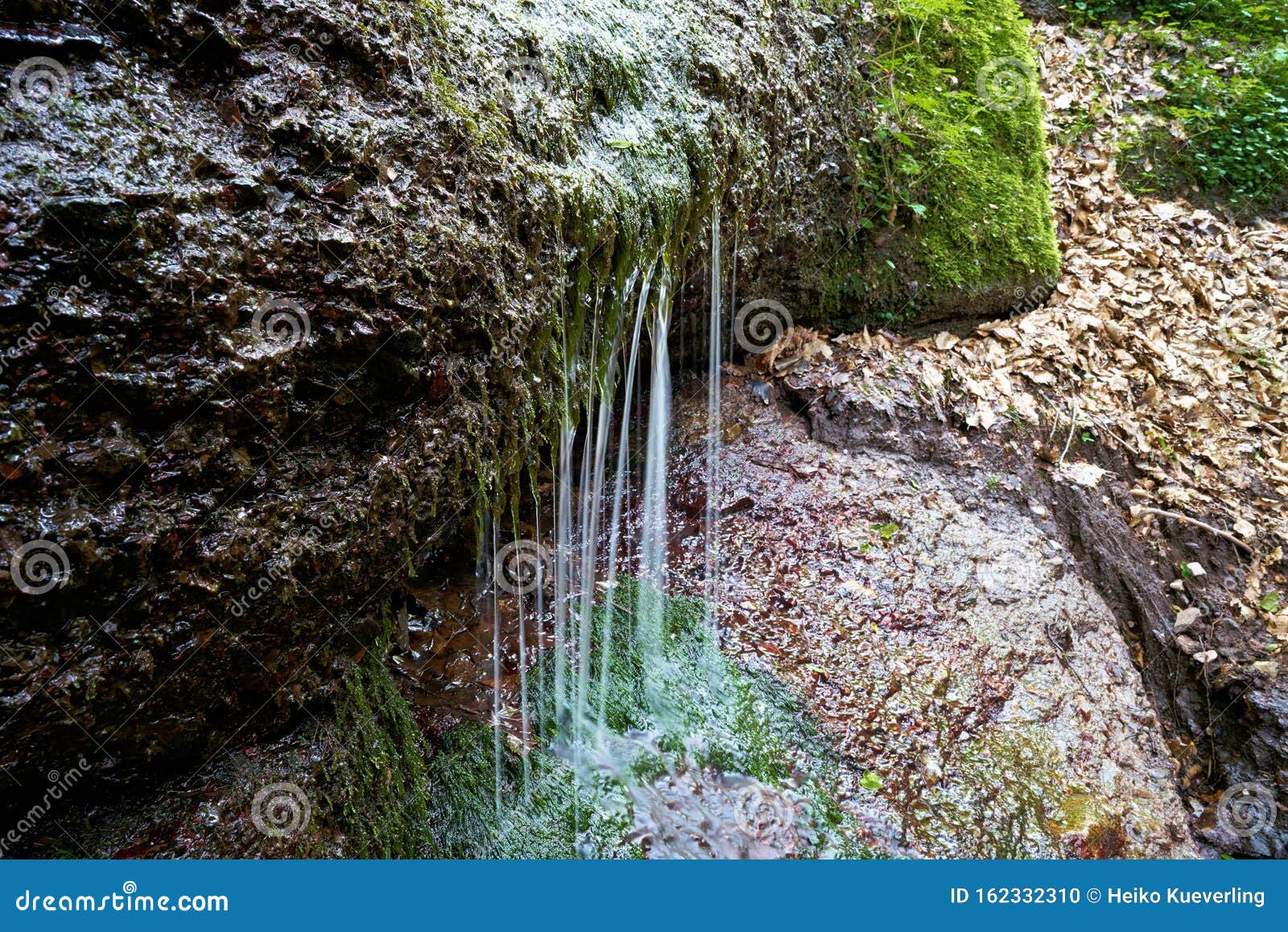 Spring Water on a Hiking Trail in Thuringia Stock Photo - Image of ...