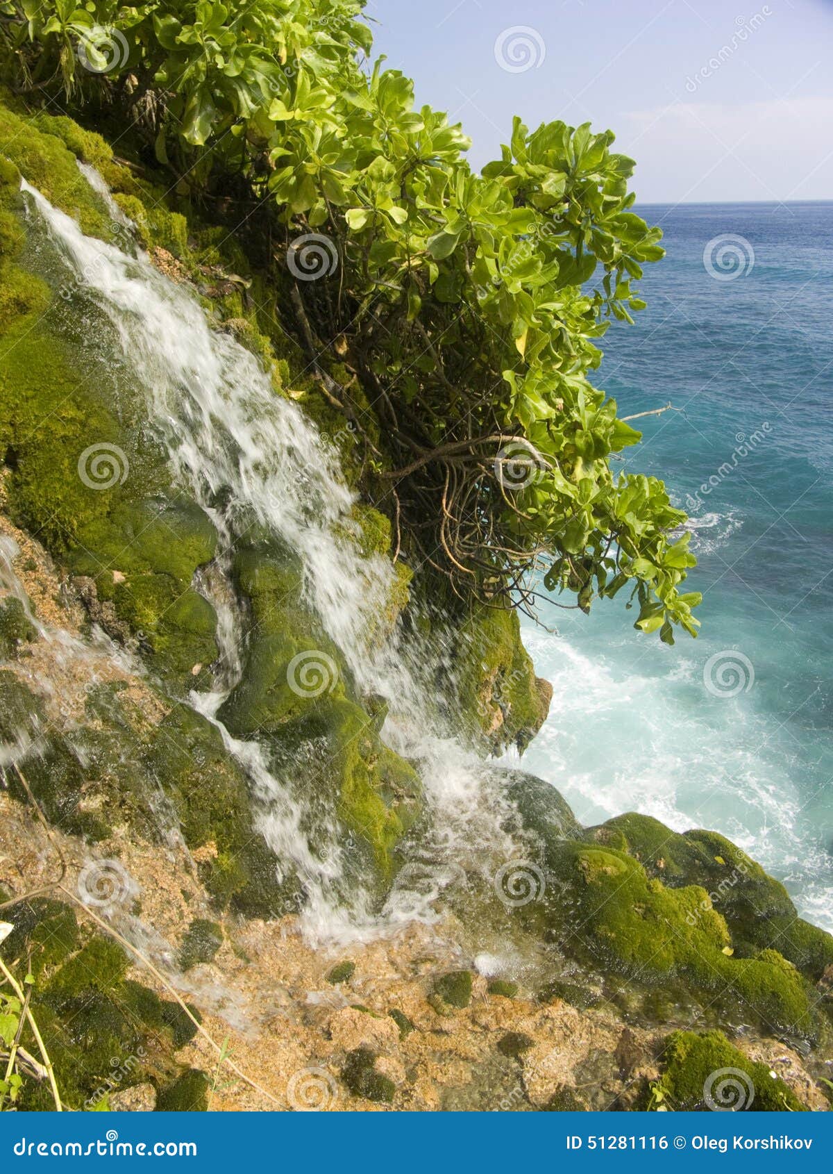 Spring water stock photo. Image of waves, lagune, herb - 51281116