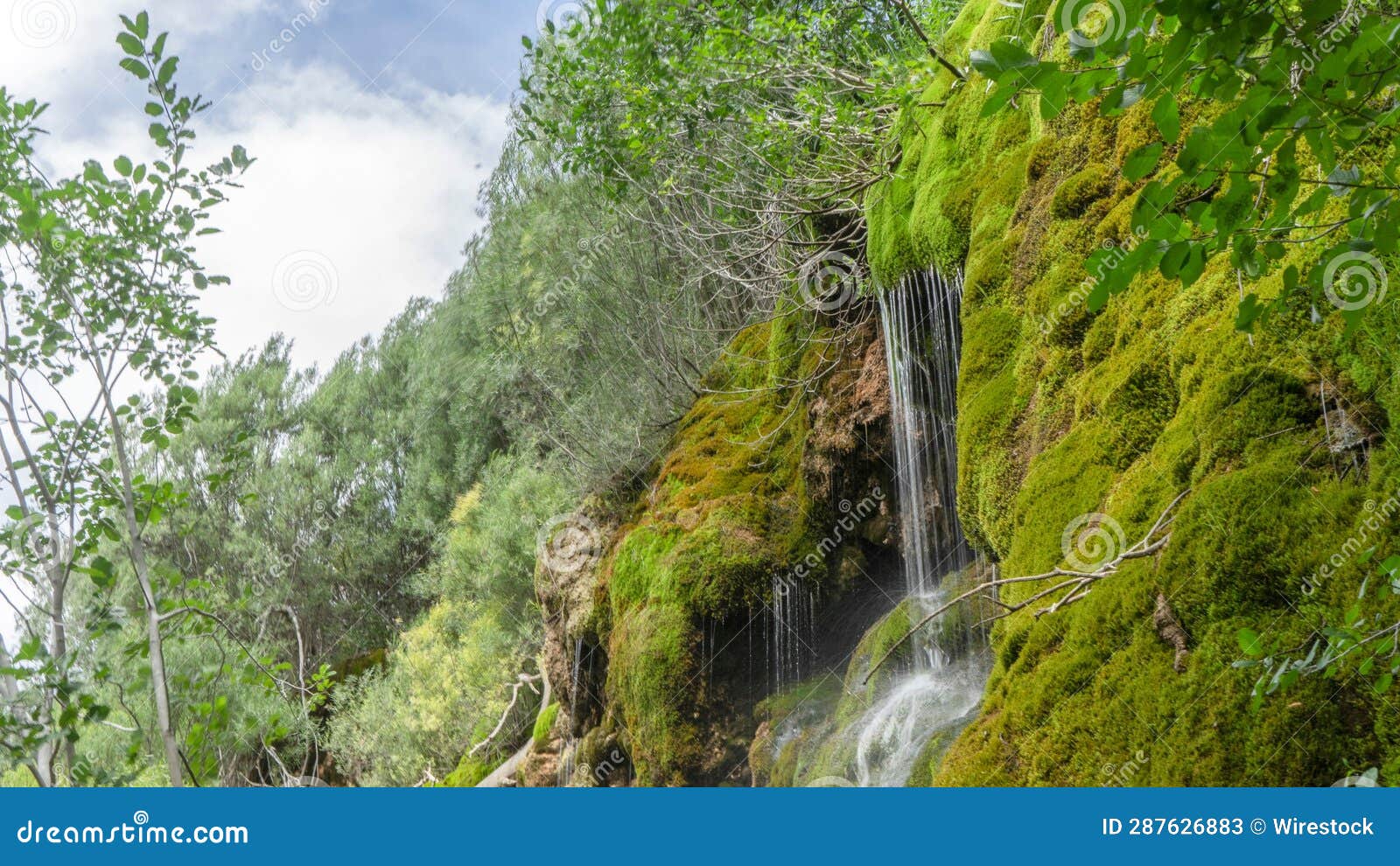 Spring of Water in Karstic Rock, Small Waterfall in a Green Environment ...