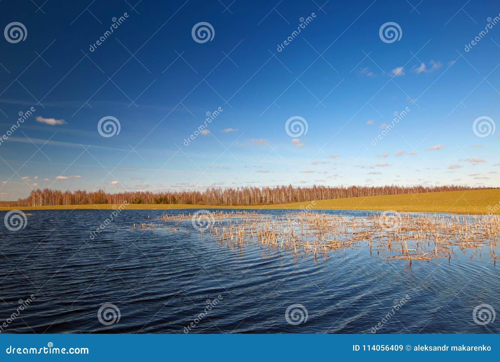 Spring. Water Landscape on a Blue Sky. Stock Image - Image of ocean ...
