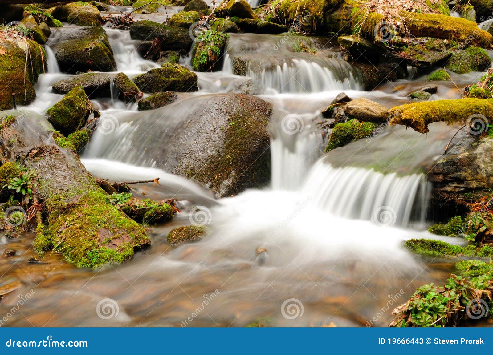 Spring Water on a Mountain Creek Stock Image - Image of peace, north ...