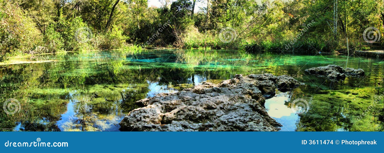 Spring Water Panoramic stock photo. Image of reflection - 3611474