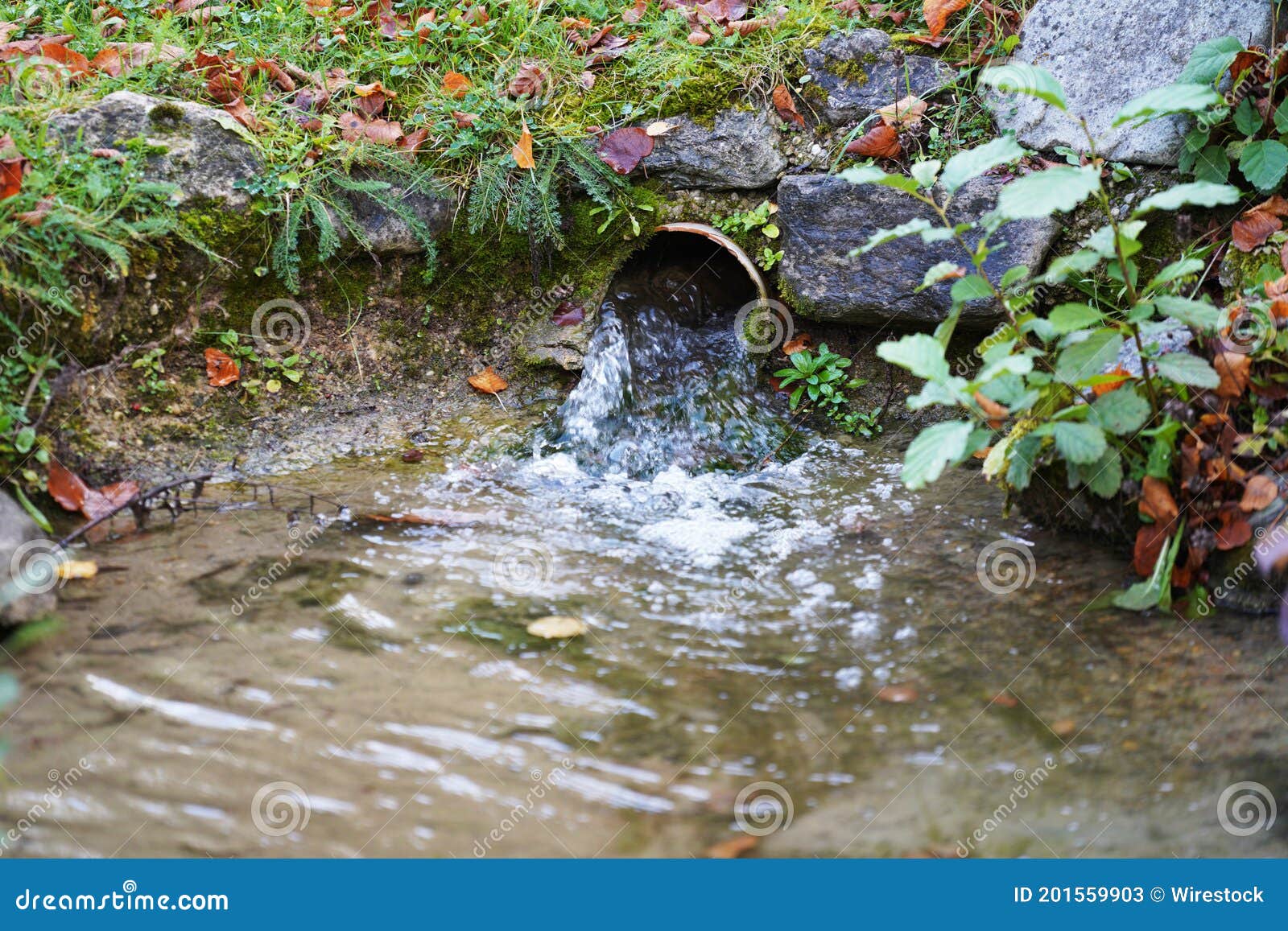 Water from a Pipe in a Forest Stock Image - Image of forest, stream ...