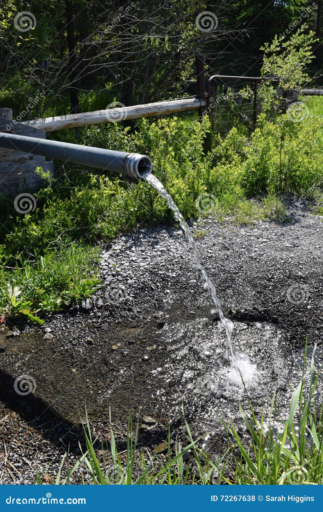 Spring water stock photo. Image of water, outdoors, natural - 72267638