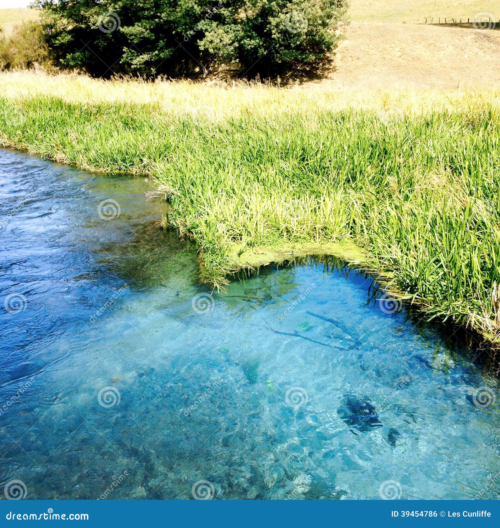 Spring water stock photo. Image of clear, pure, natural - 39454786