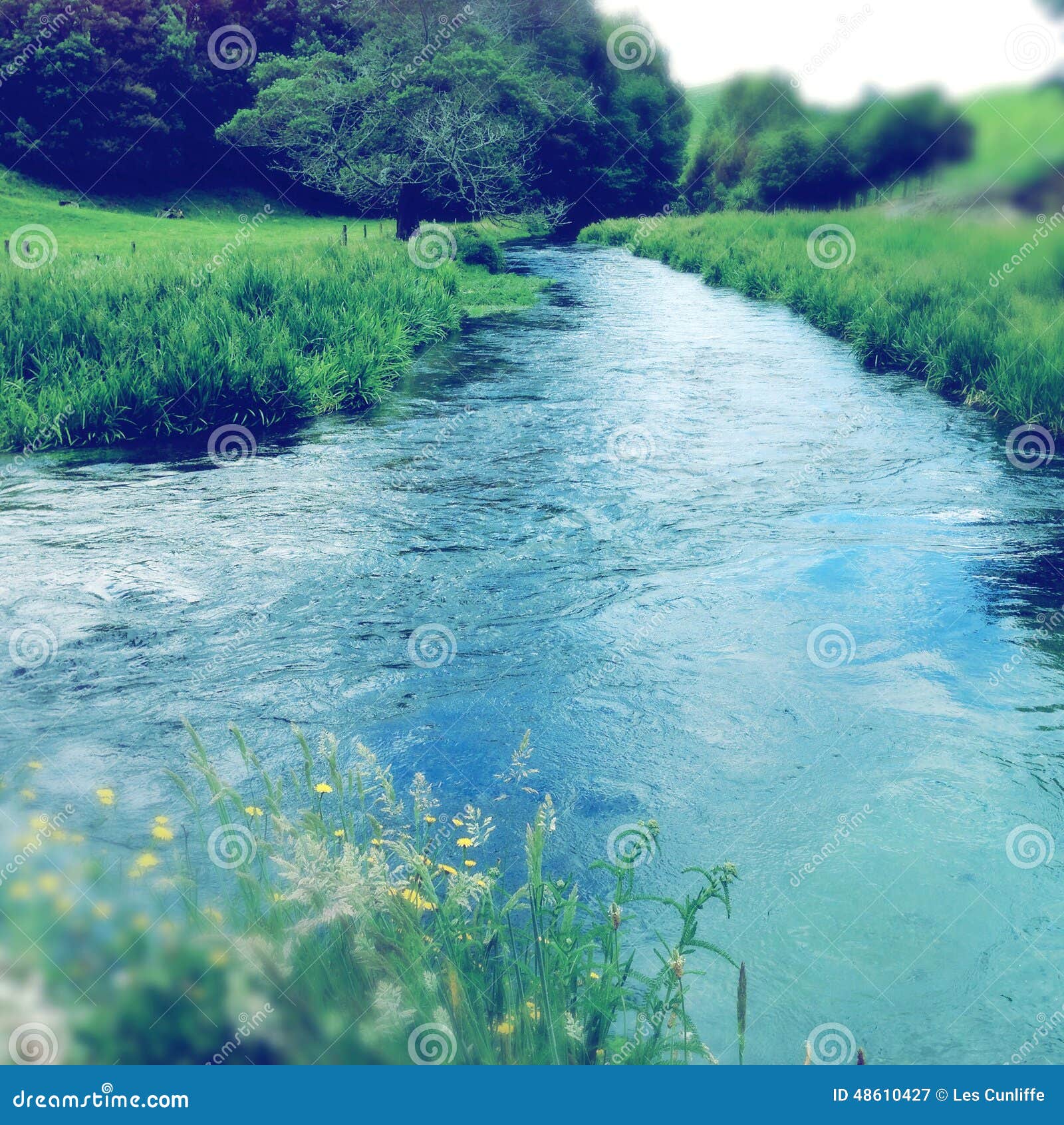 Spring water stock image. Image of flowing, water, forest - 48610427