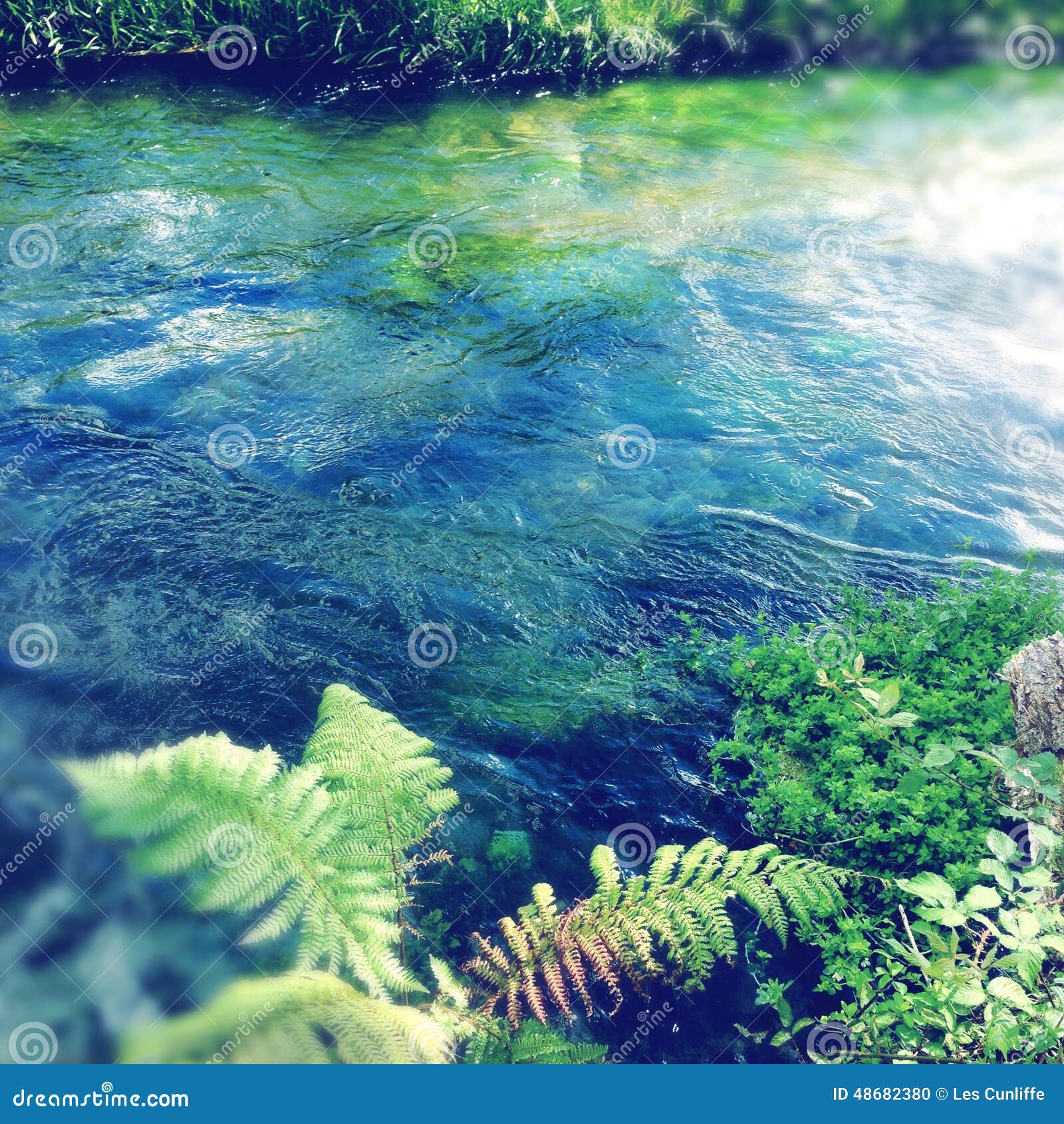 Spring water stock photo. Image of clean, brook, spring - 48682380