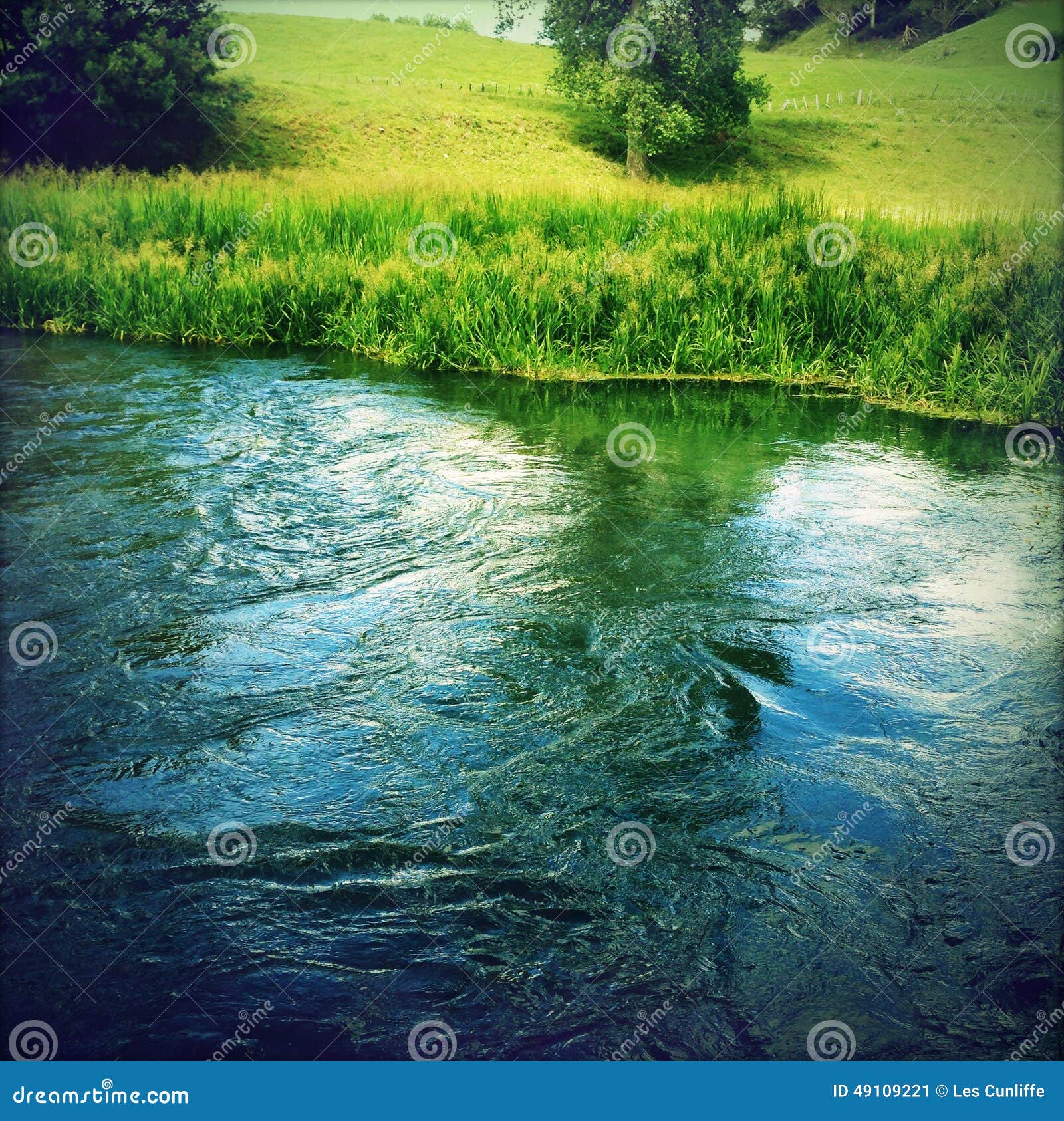 Spring water stock image. Image of tranquil, grass, creek - 49109221