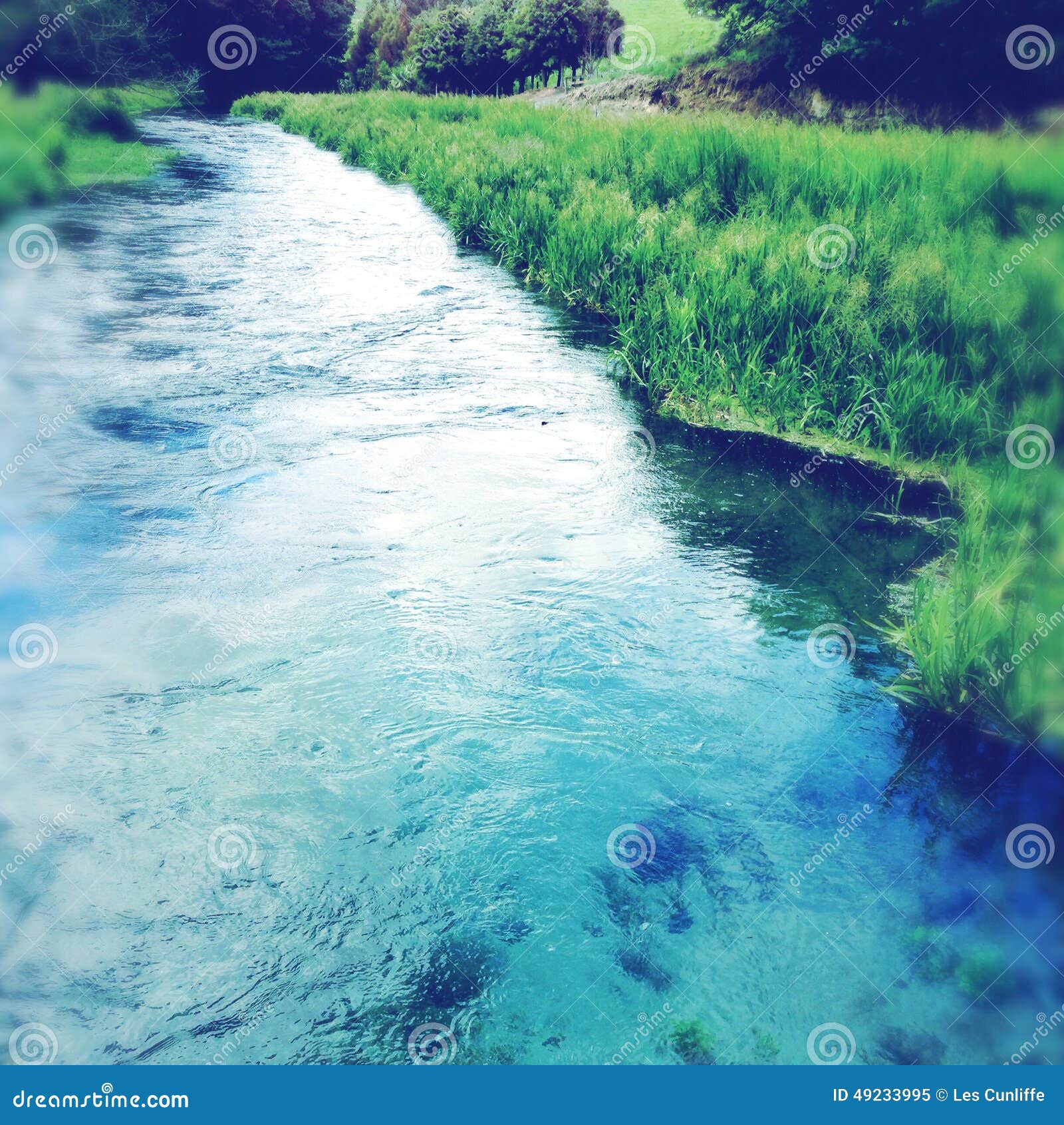 Spring water stock image. Image of forest, river, flow - 49233995