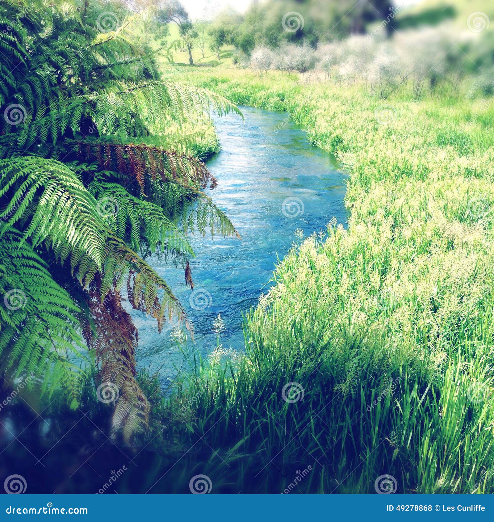 Spring water stock photo. Image of flowing, spring, pure - 49278868