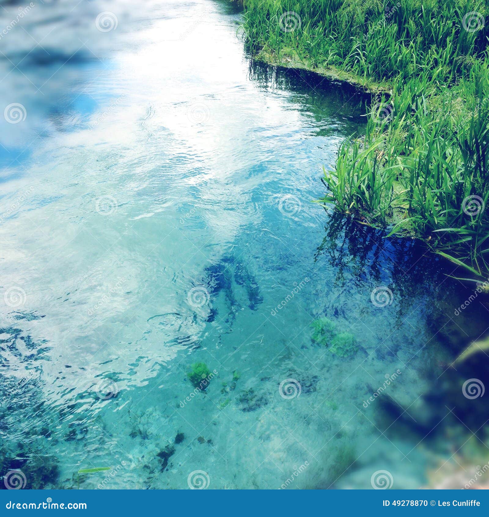 Spring water stock photo. Image of flow, landscape, natural - 49278870