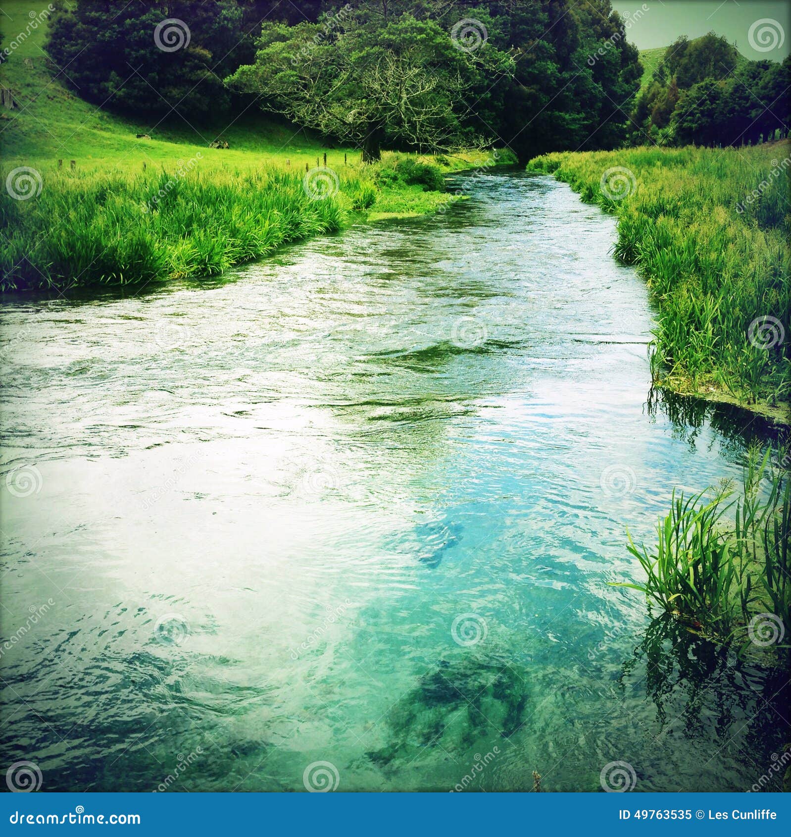 Spring water stock image. Image of grass, water, flowing - 49763535