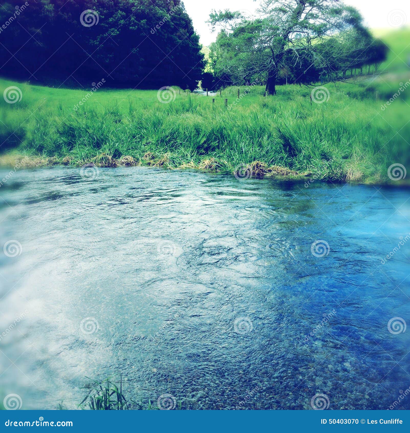 Spring water stock photo. Image of creek, flow, beauty - 50403070