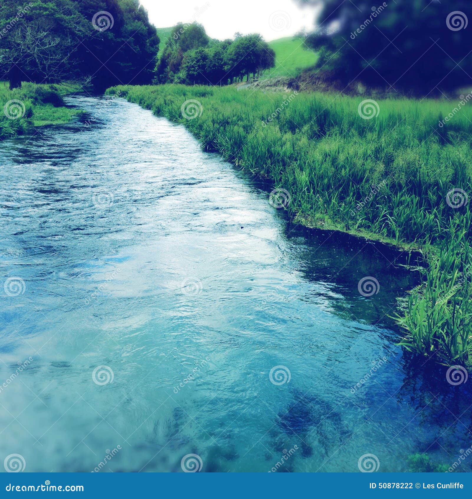 Spring water stock photo. Image of brook, river, clean - 50878222