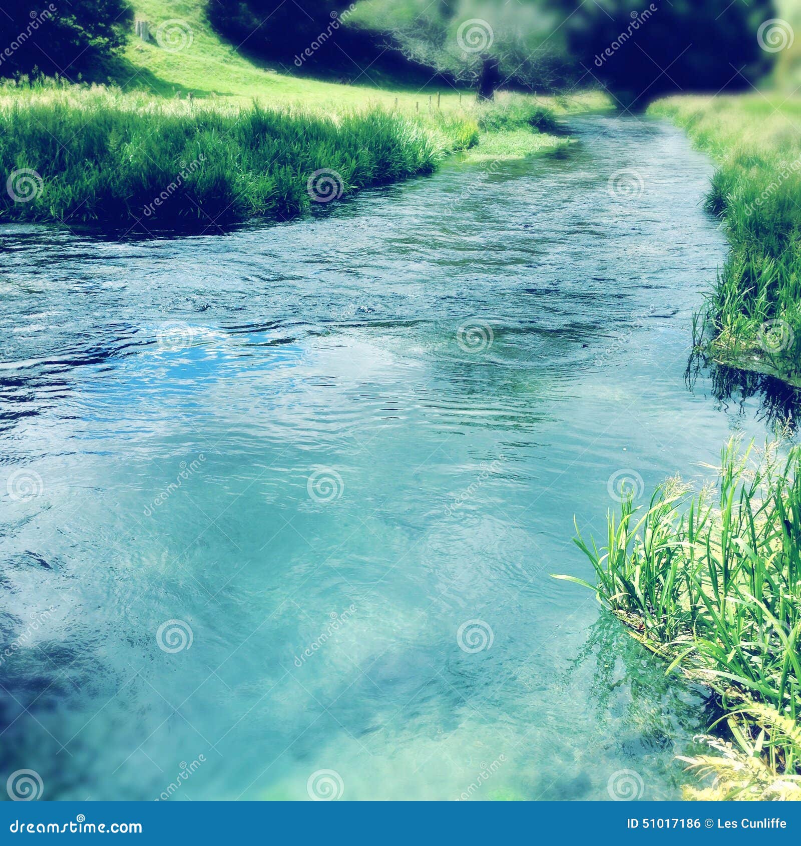 Spring water stock photo. Image of purity, creek, blue - 51017186