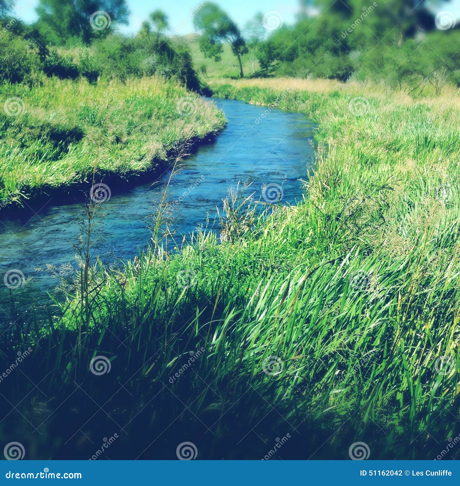 Spring water stock photo. Image of clean, stream, grass - 51162042