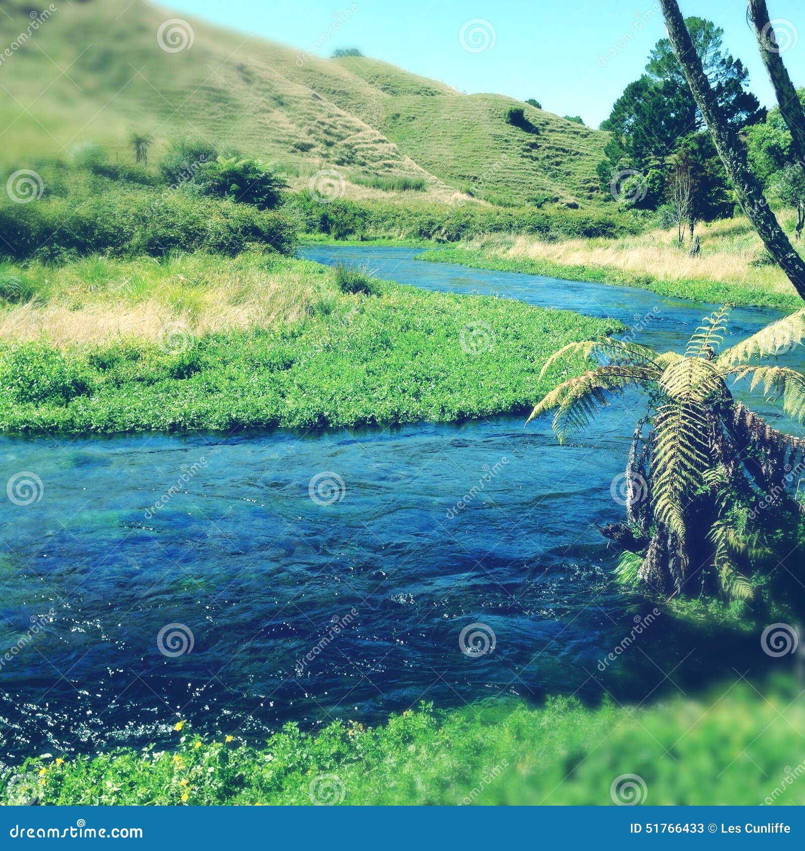 Spring water stock image. Image of purity, outdoor, spring - 51766433