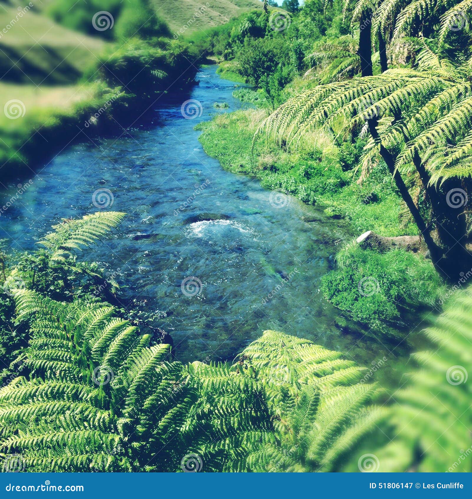 Spring water stock image. Image of pure, landscape, clean - 51806147