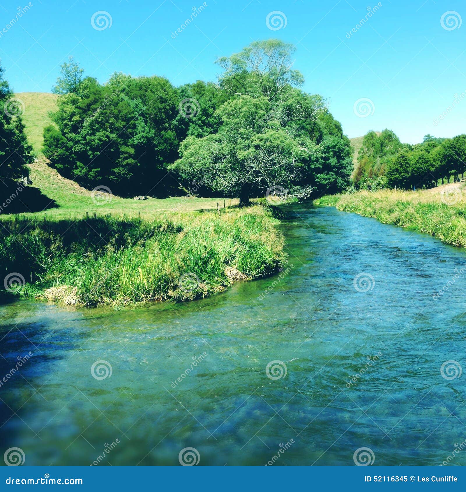 Spring water stock image. Image of purity, motion, scenic - 52116345