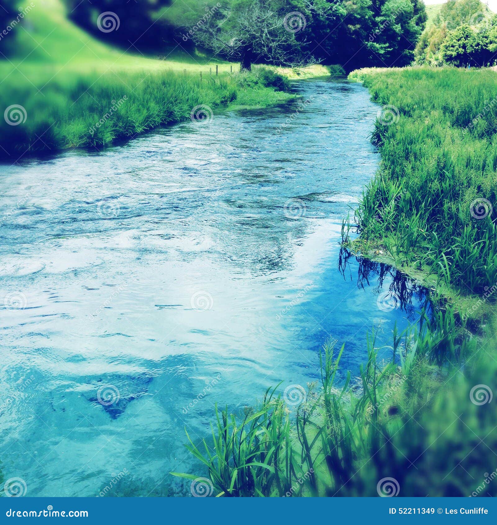 Spring water stock image. Image of green, environment - 52211349