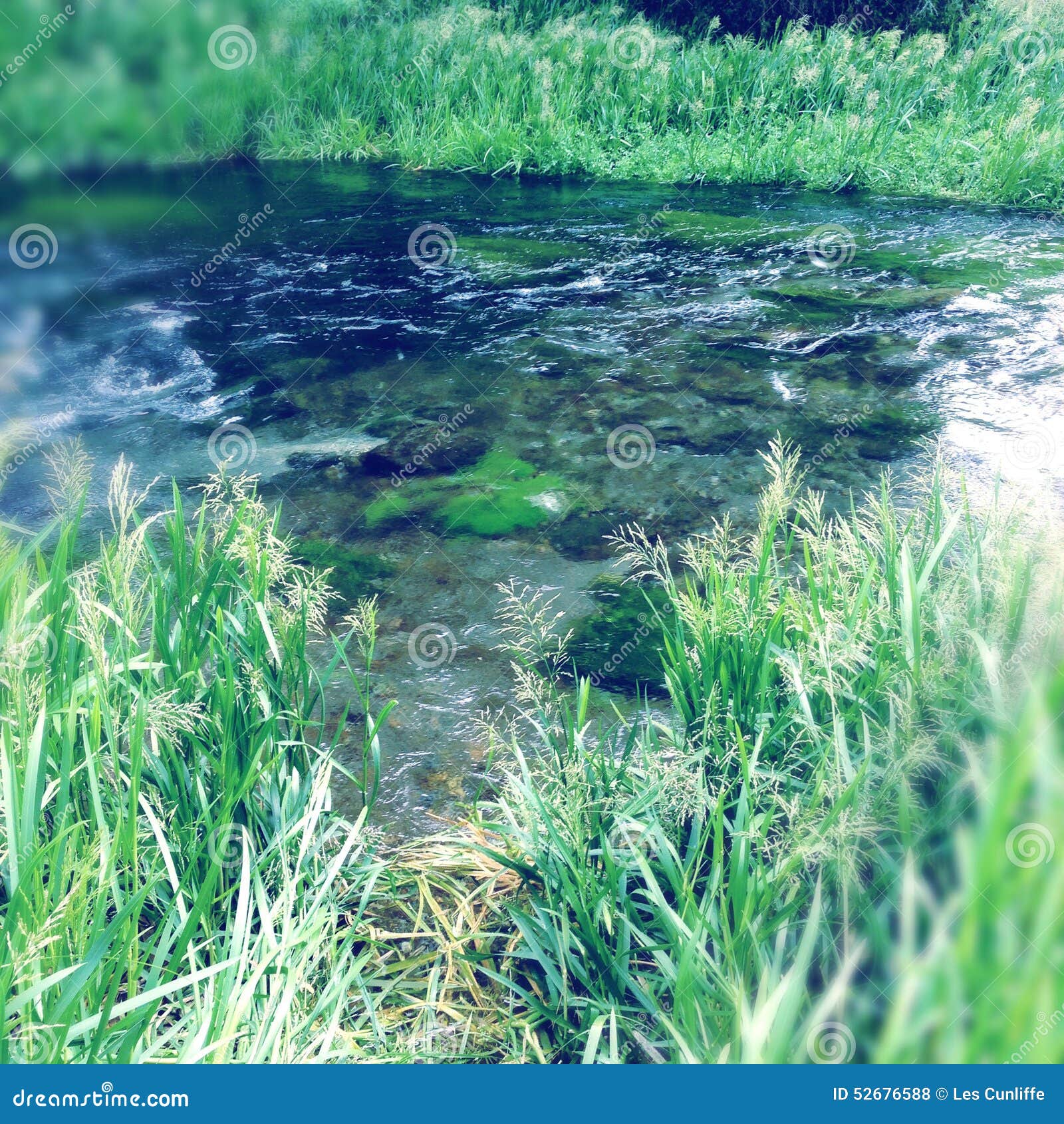 Spring water stock photo. Image of outdoor, nature, motion - 52676588