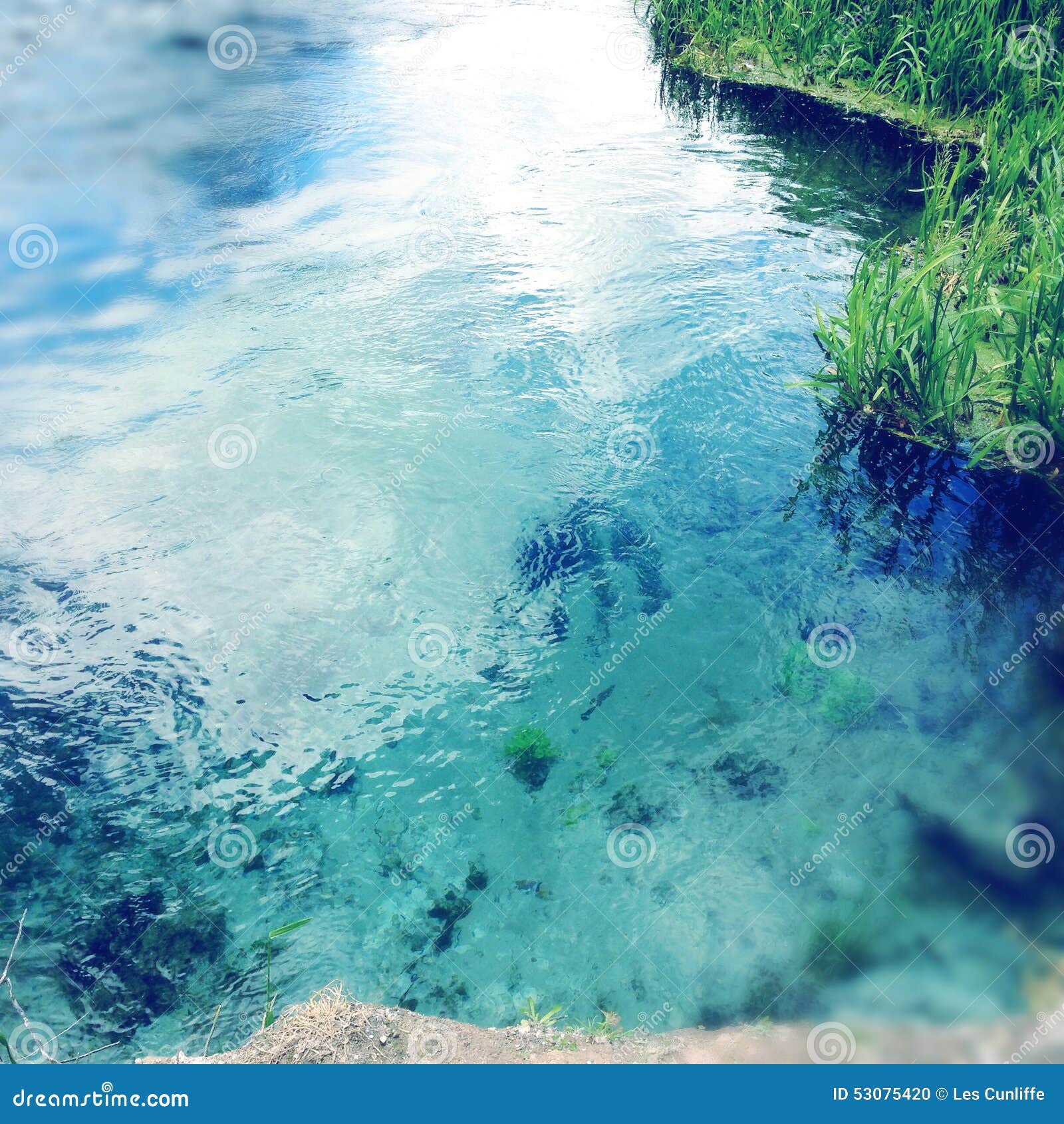 Spring water stock photo. Image of creek, river, fresh - 53075420