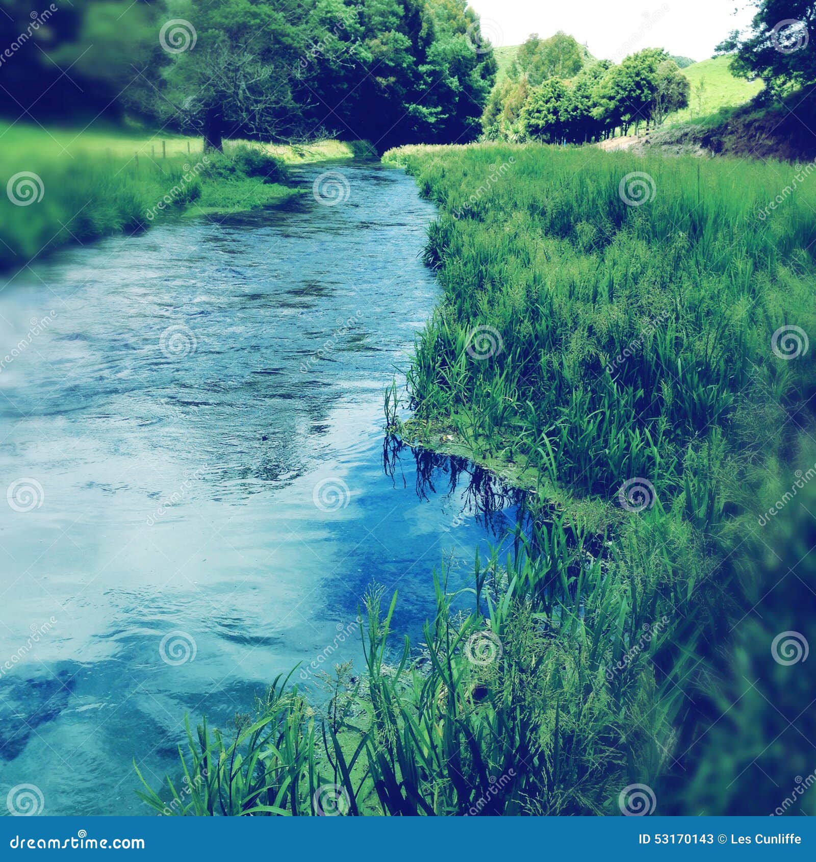 Spring water stock image. Image of fresh, outdoors, spring - 53170143