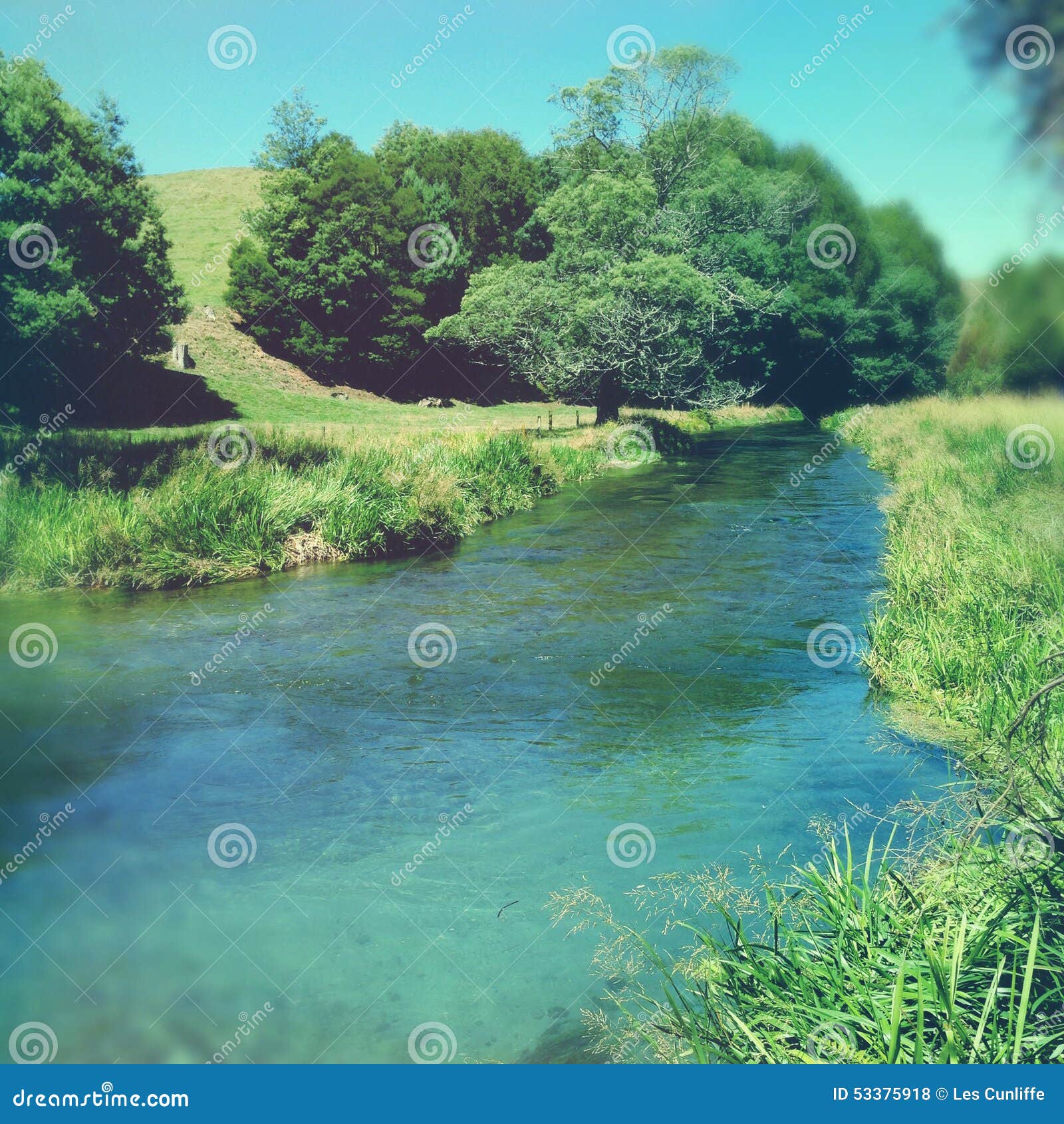 Spring water stock photo. Image of brook, motion, nature - 53375918