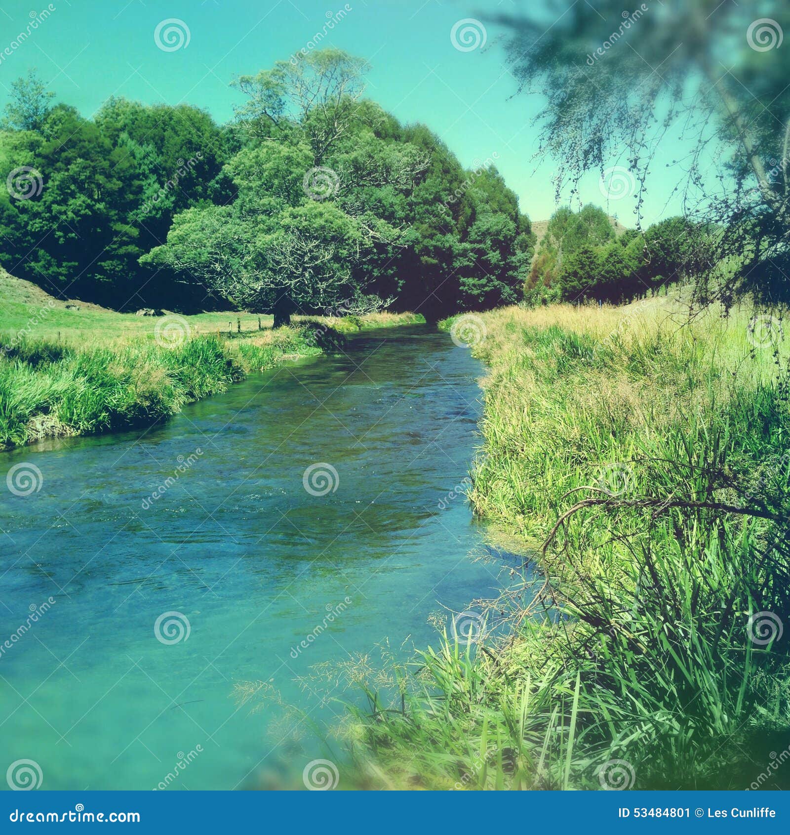 Spring water stock image. Image of clean, stream, outdoors - 53484801