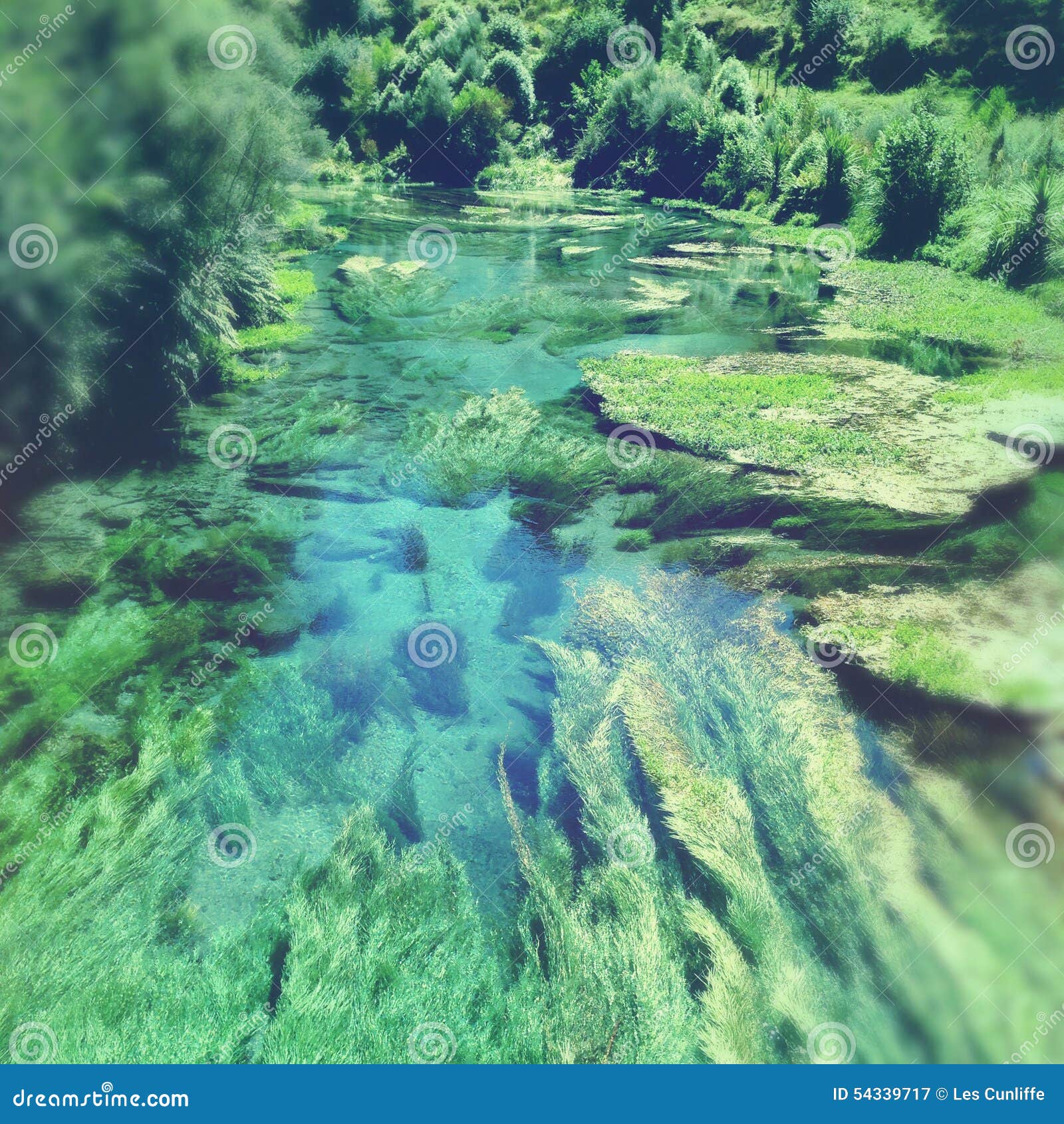 Spring water stock image. Image of stream, tranquil, purity - 54339717