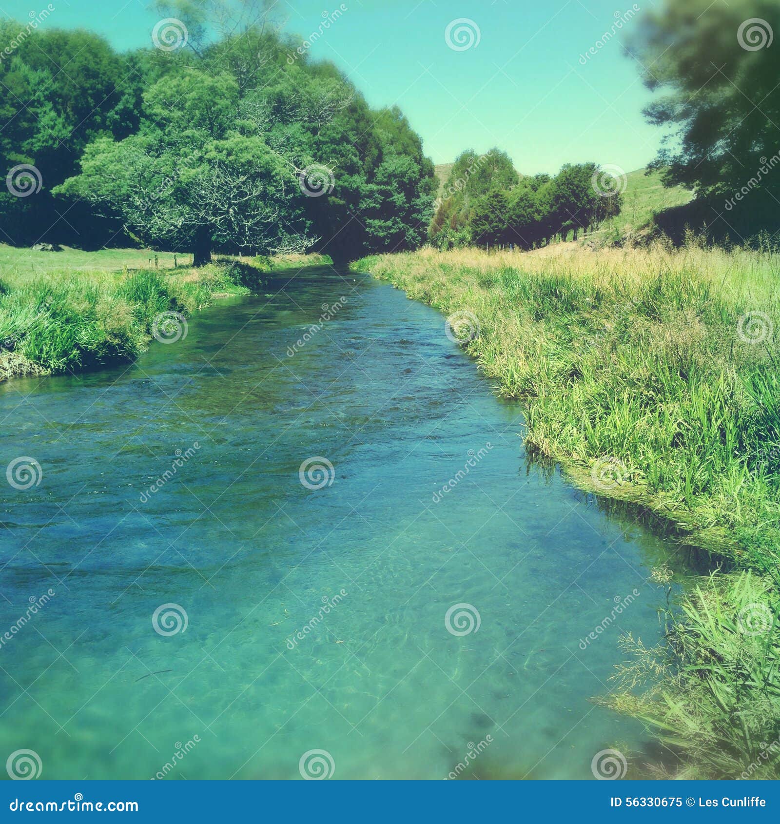 Spring water stock image. Image of scenic, environment - 56330675