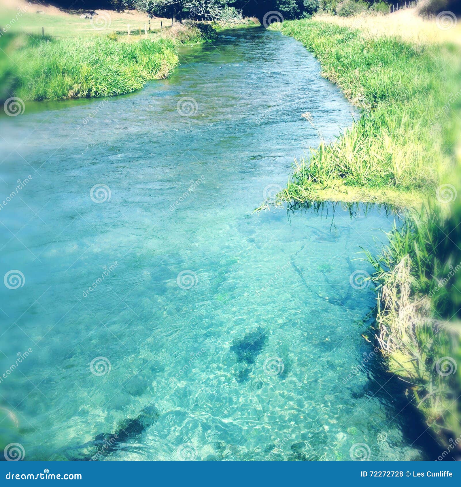 Spring water stock photo. Image of outdoors, pure, spring - 72272728