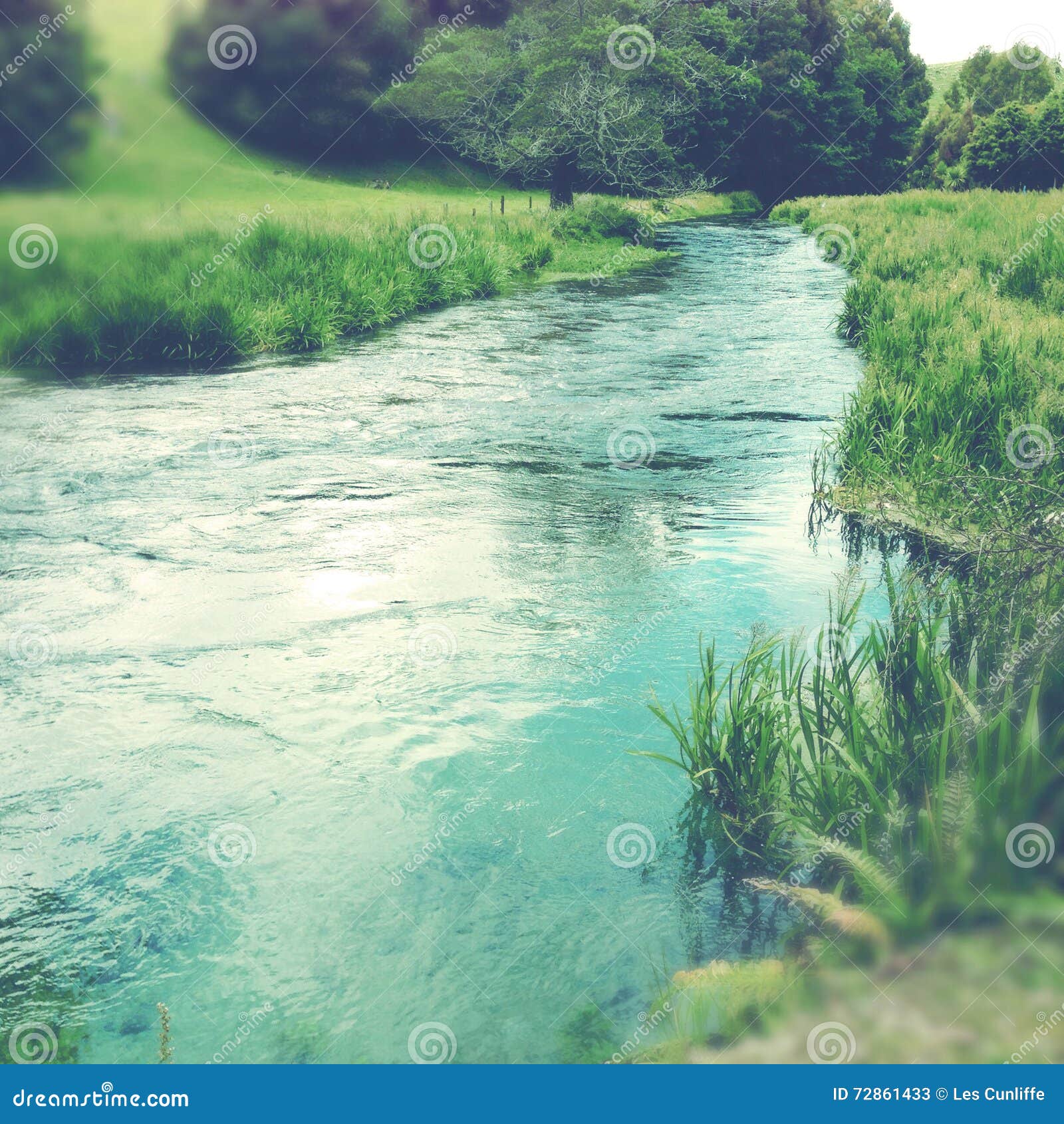 Spring water stock image. Image of creek, pure, clean - 72861433