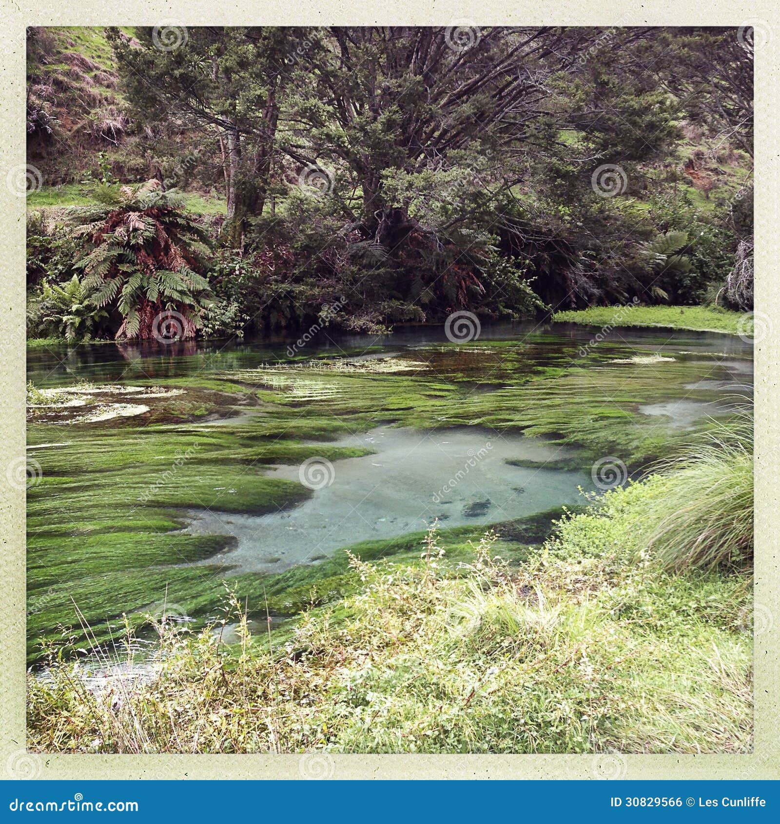 Spring water stock photo. Image of pure, environment - 30829566