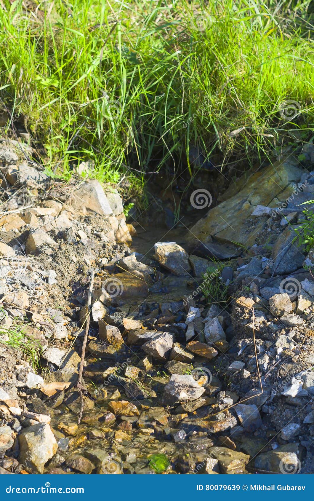 Spring water stock image. Image of river, moss, creek - 80079639