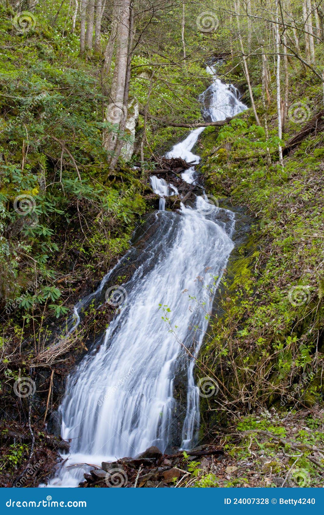 Spring water runoff stock photo. Image of tremont, spring - 24007328
