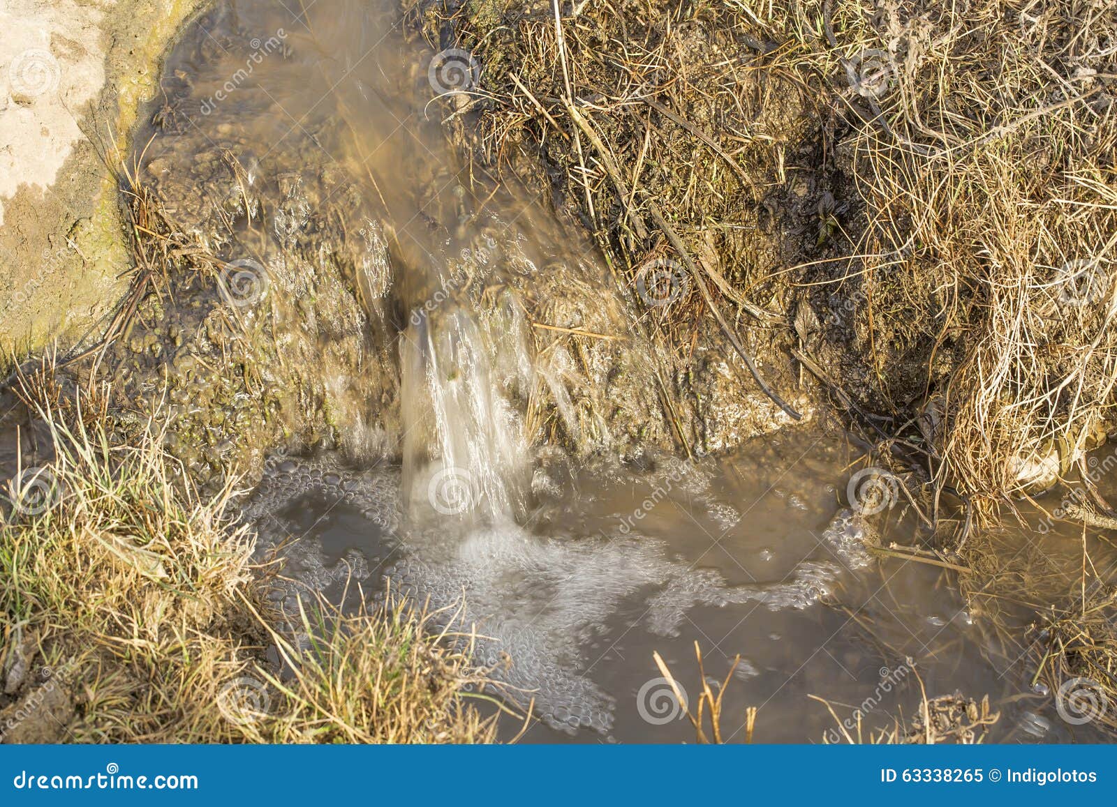 Spring Water Runs through Grass Stock Image - Image of water, landscape ...