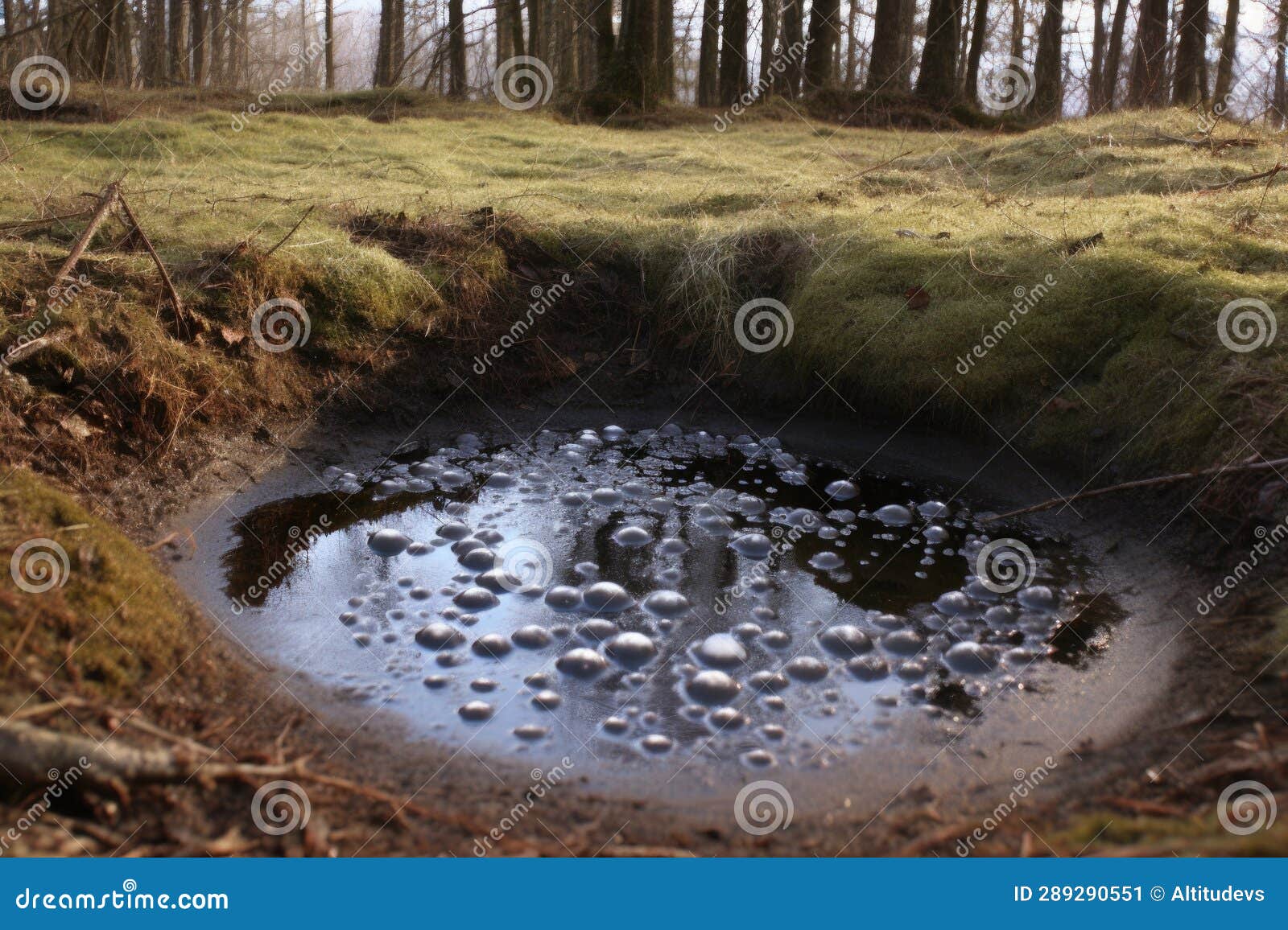 Spring Water Source Bubbling Up from the Ground Stock Image - Image of ...