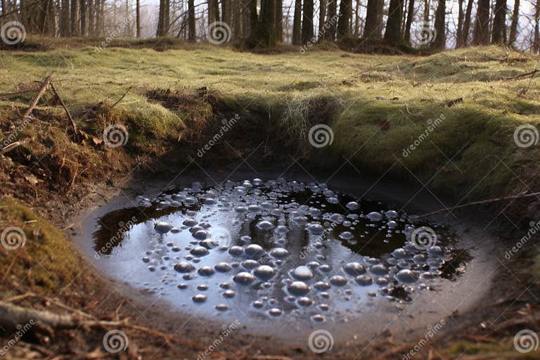 Spring Water Source Bubbling Up from the Ground Stock Image - Image of ...