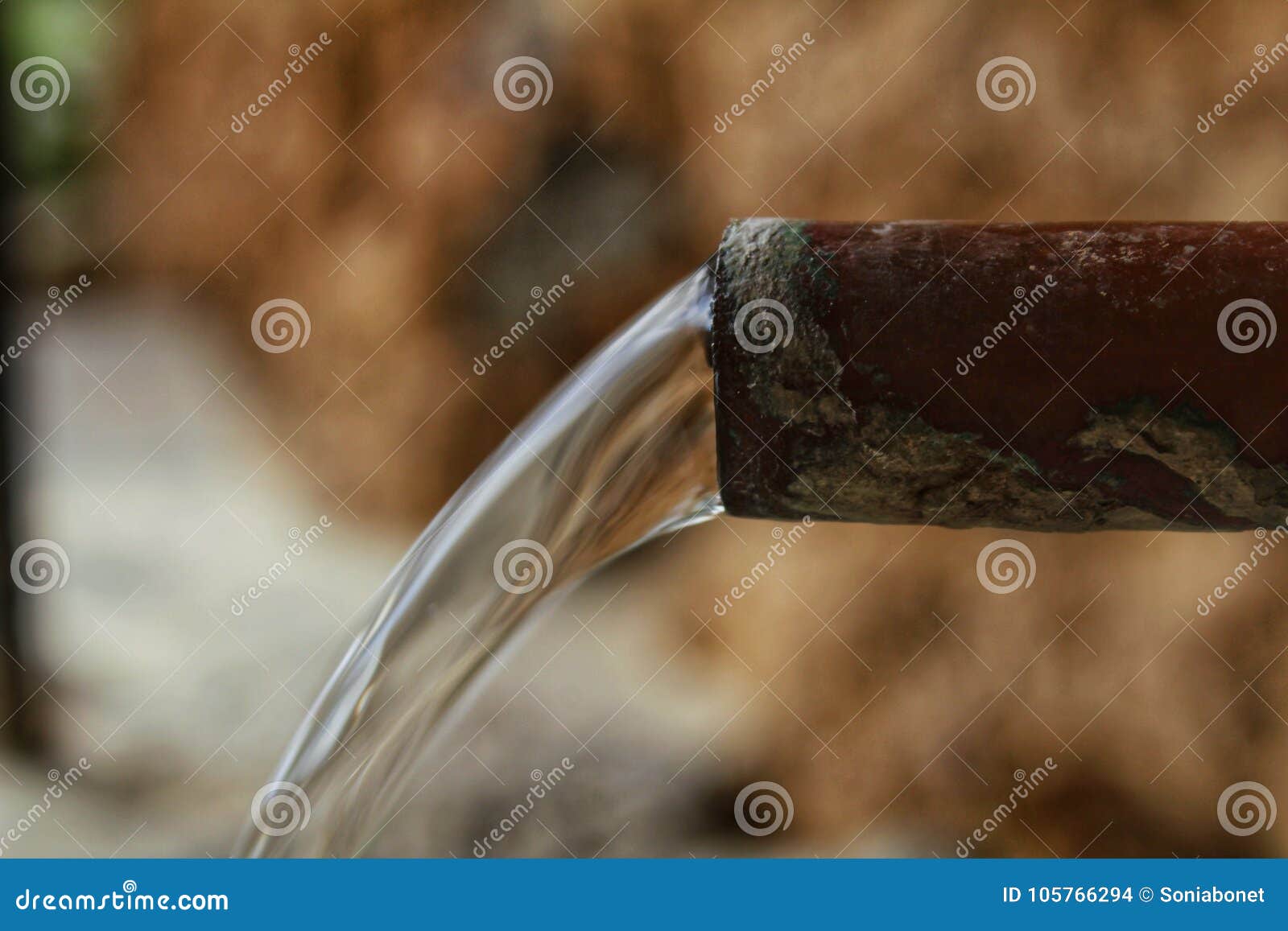 Spring Water Source in Chelva, Valencia Stock Photo - Image of plant ...